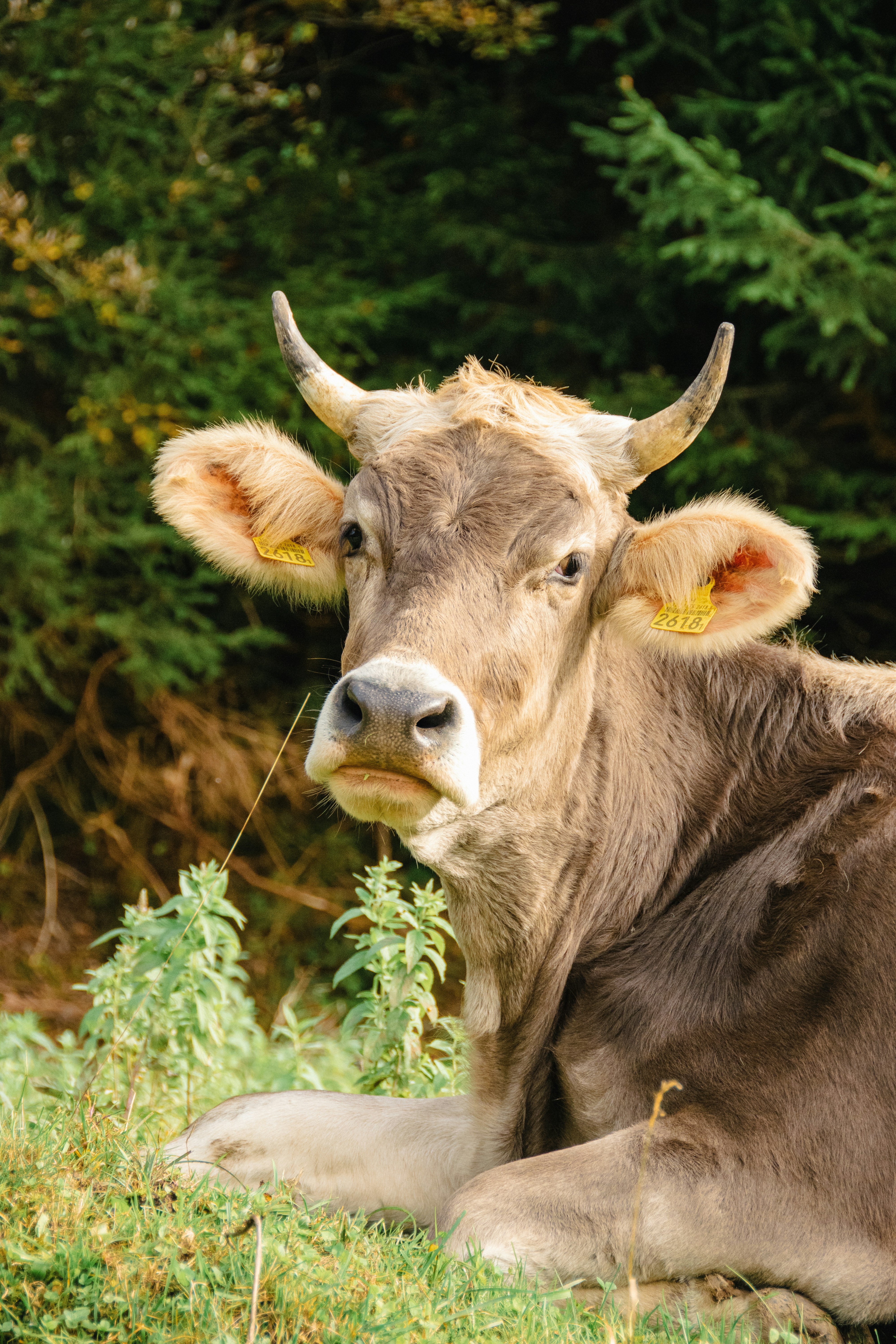 Photo by Tiffany Bell with Nikon D3300