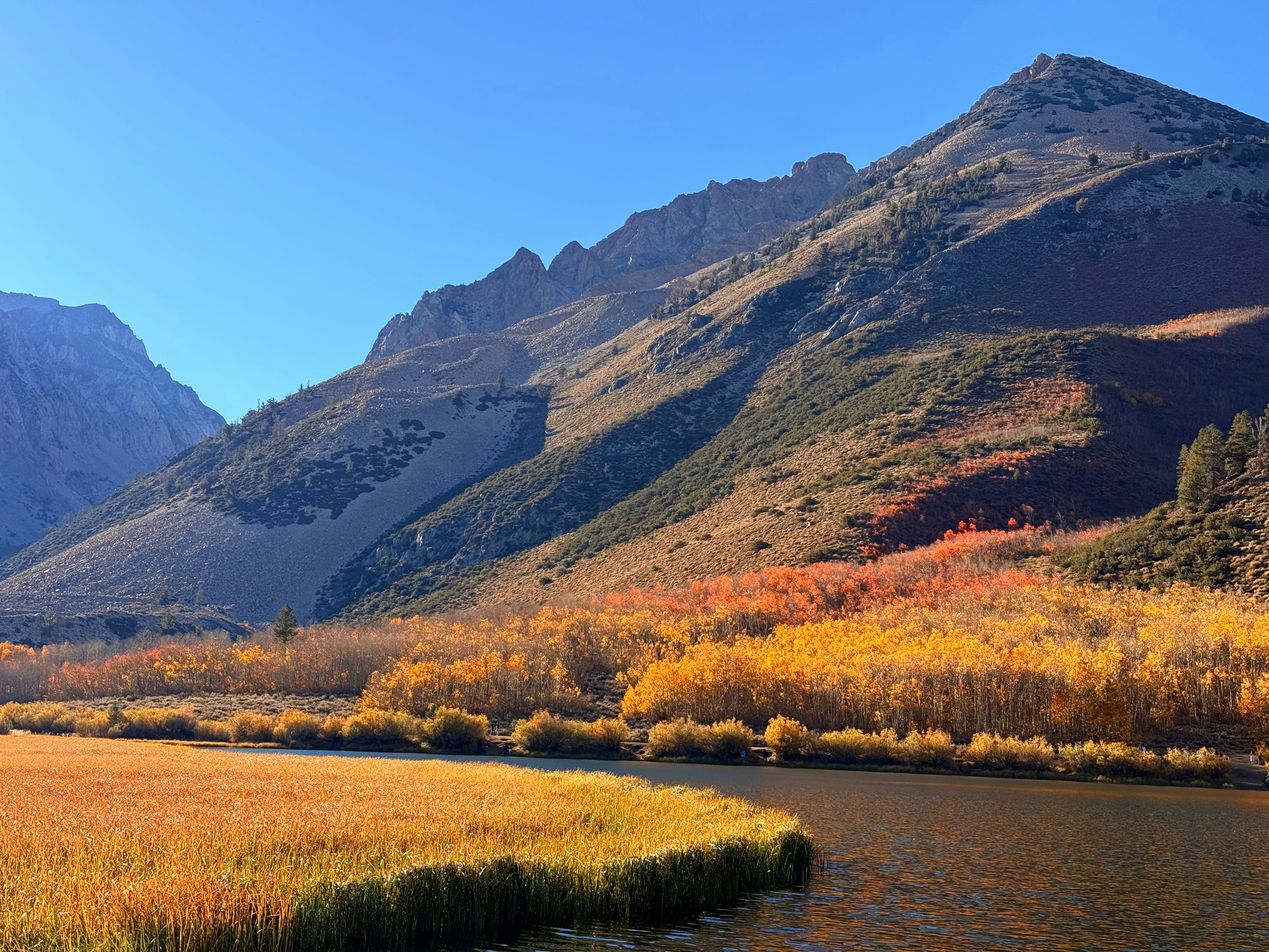 Autumn Symphony at the Mountain's Edge