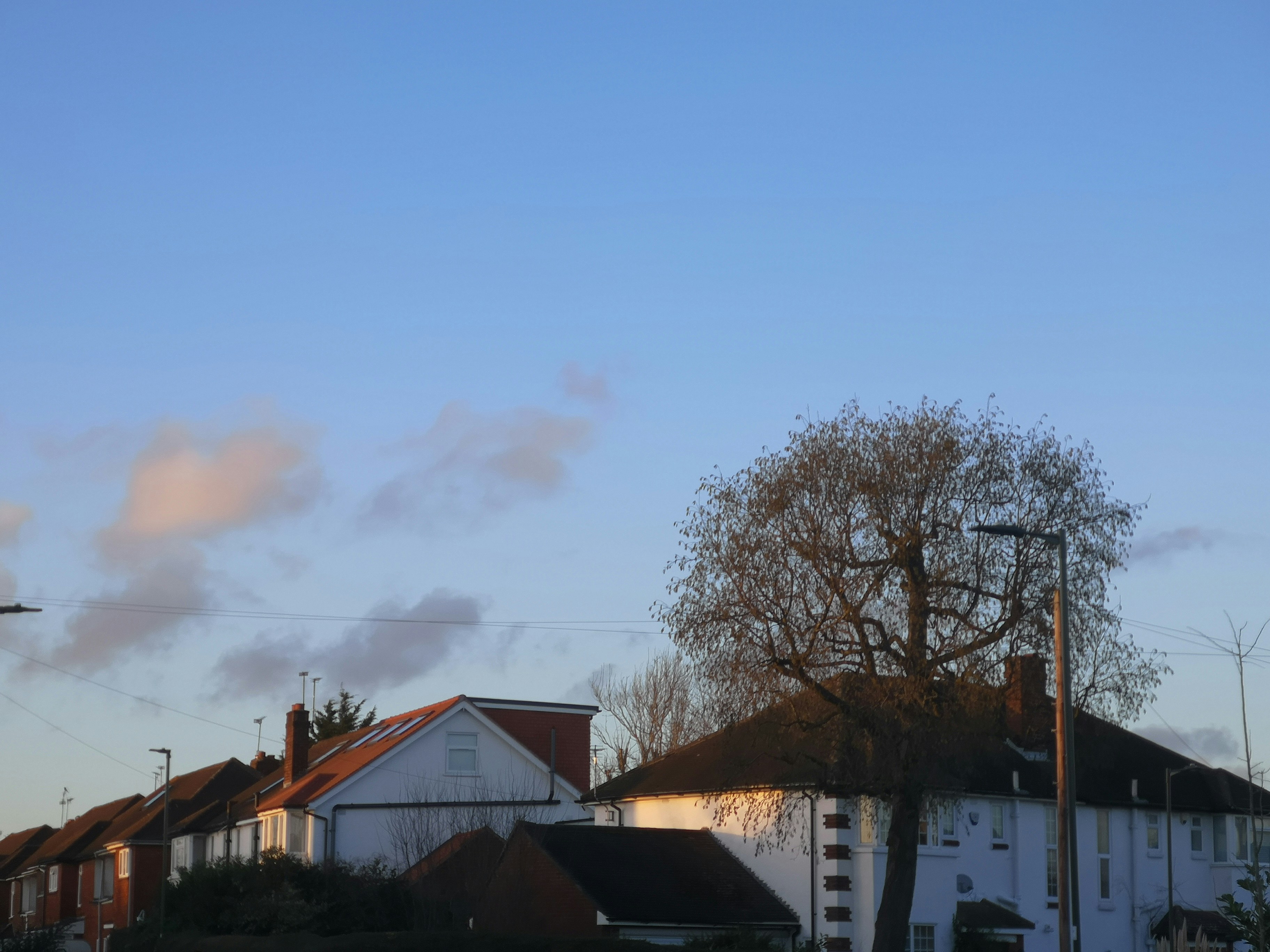 Row of houses with a large tree silhouetted against a clear blue sky during sunset.