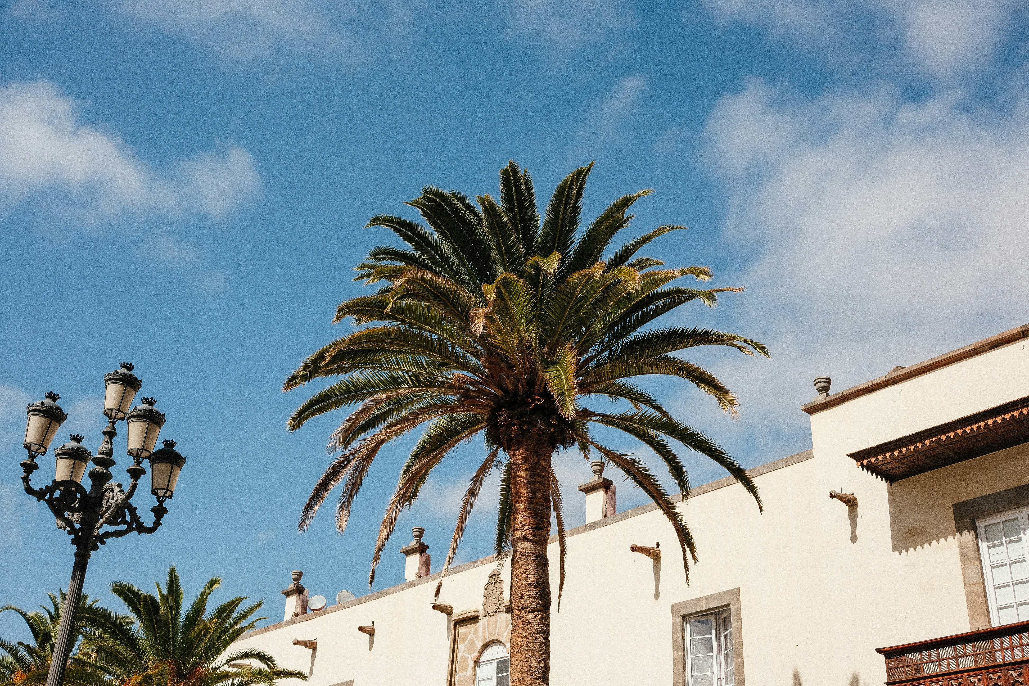 Photo by Dhiemas Afif Febriyan with Fujifilm X-T5