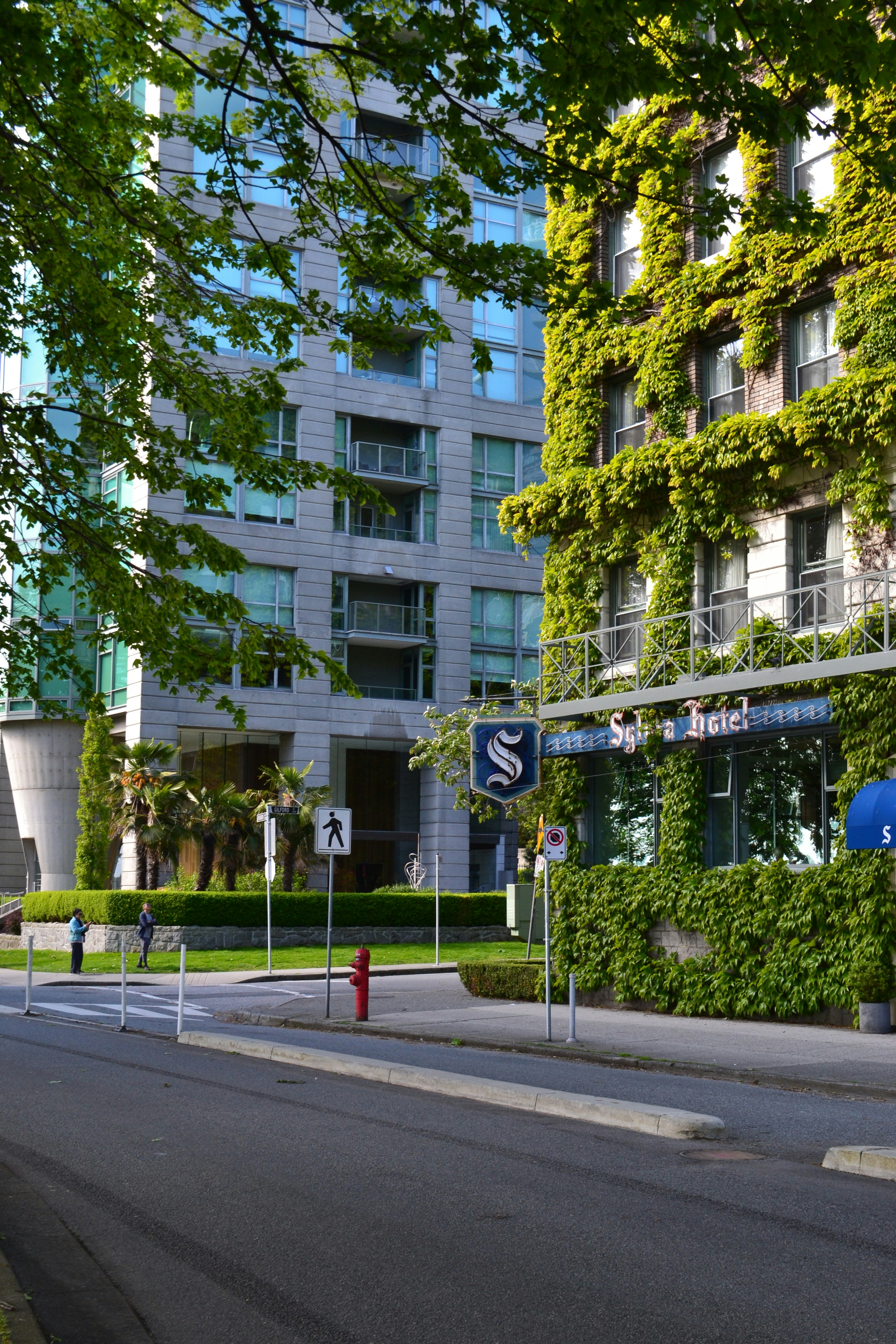 Ivy-Laced Facades Framing a Quiet Urban Street