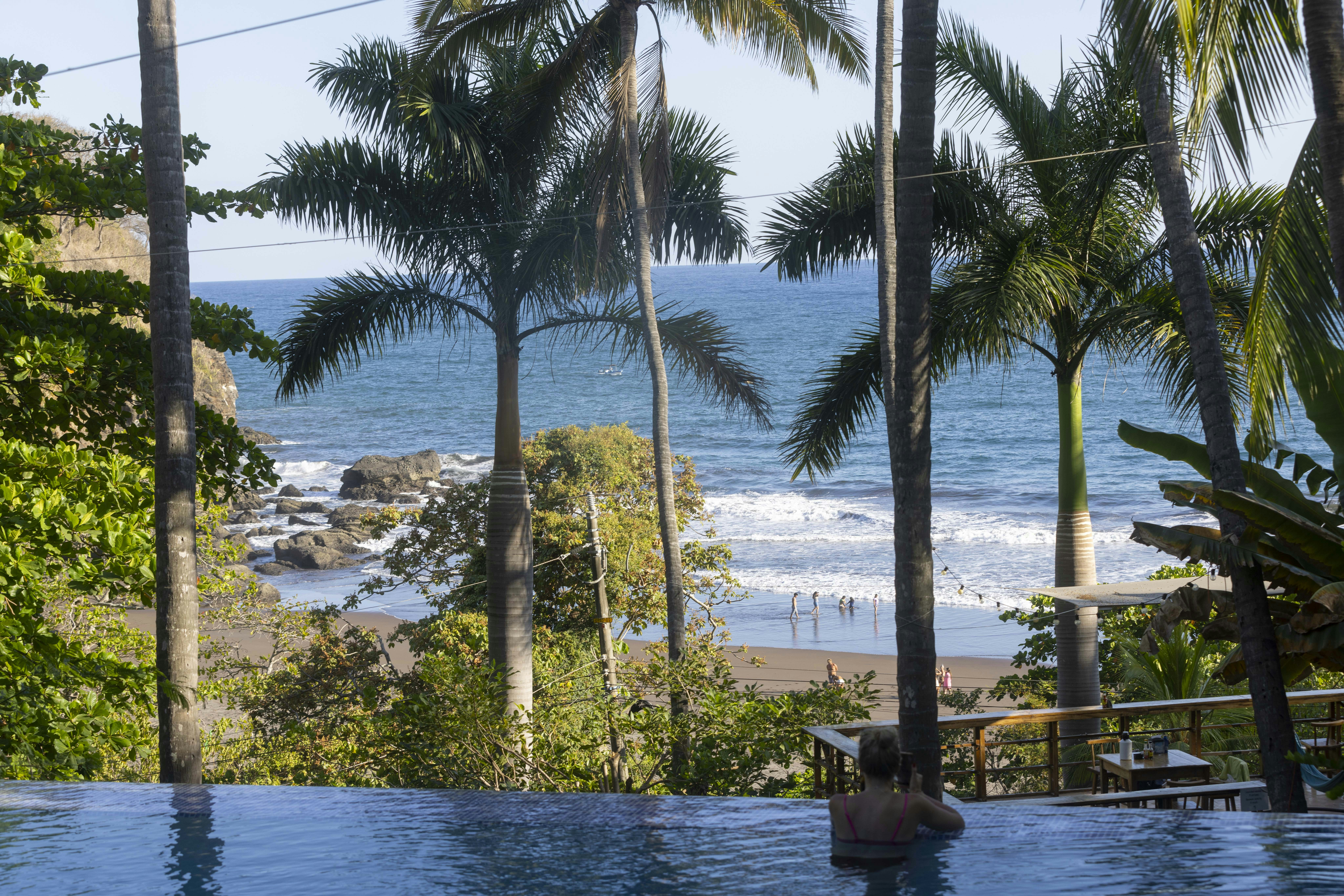 Infinity pool with ocean view framed by palm trees and lush greenery.