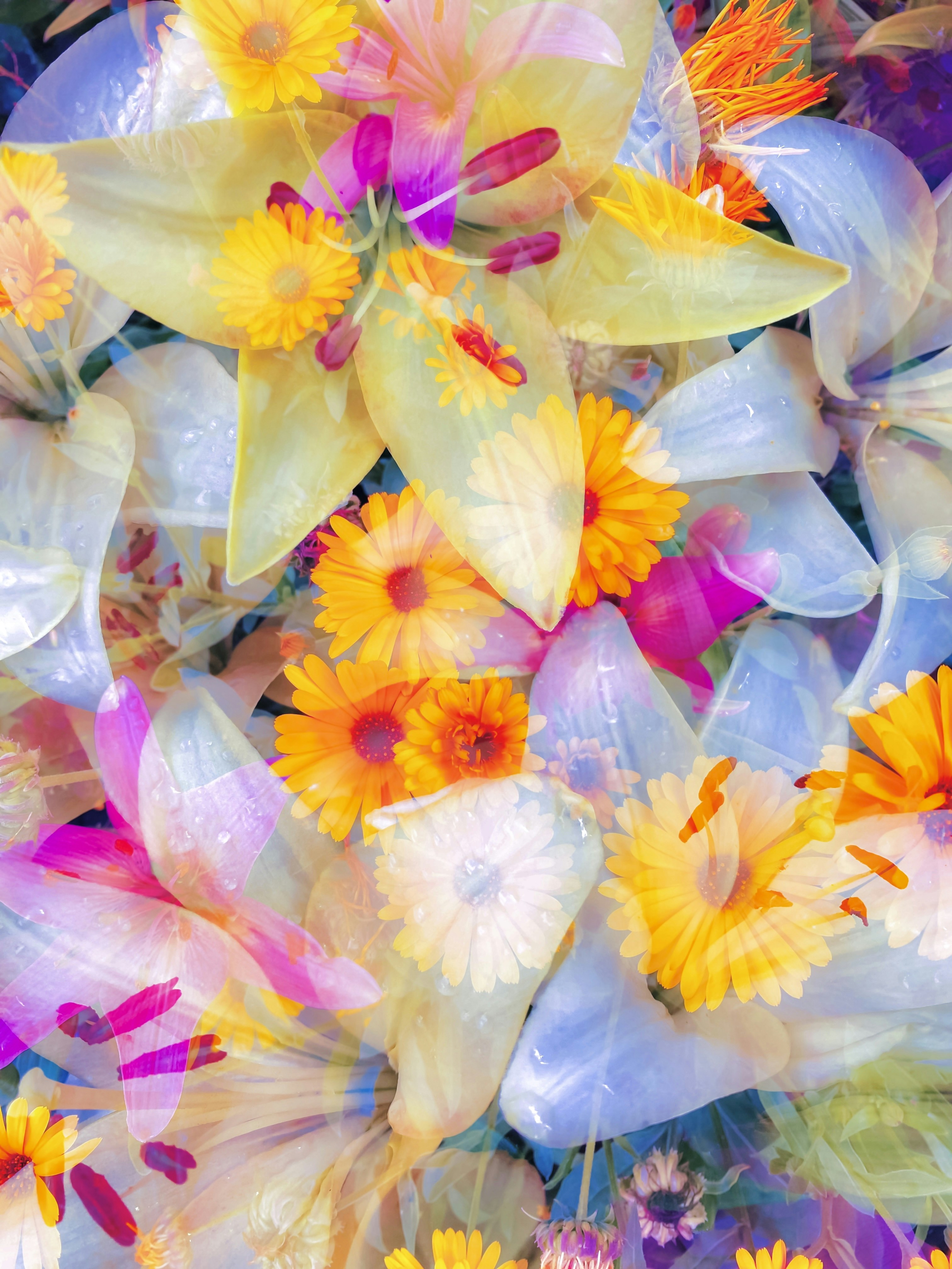 Bright marigolds punctuate overlapping translucent petals, creating a luminous, confetti-like floral tapestry.