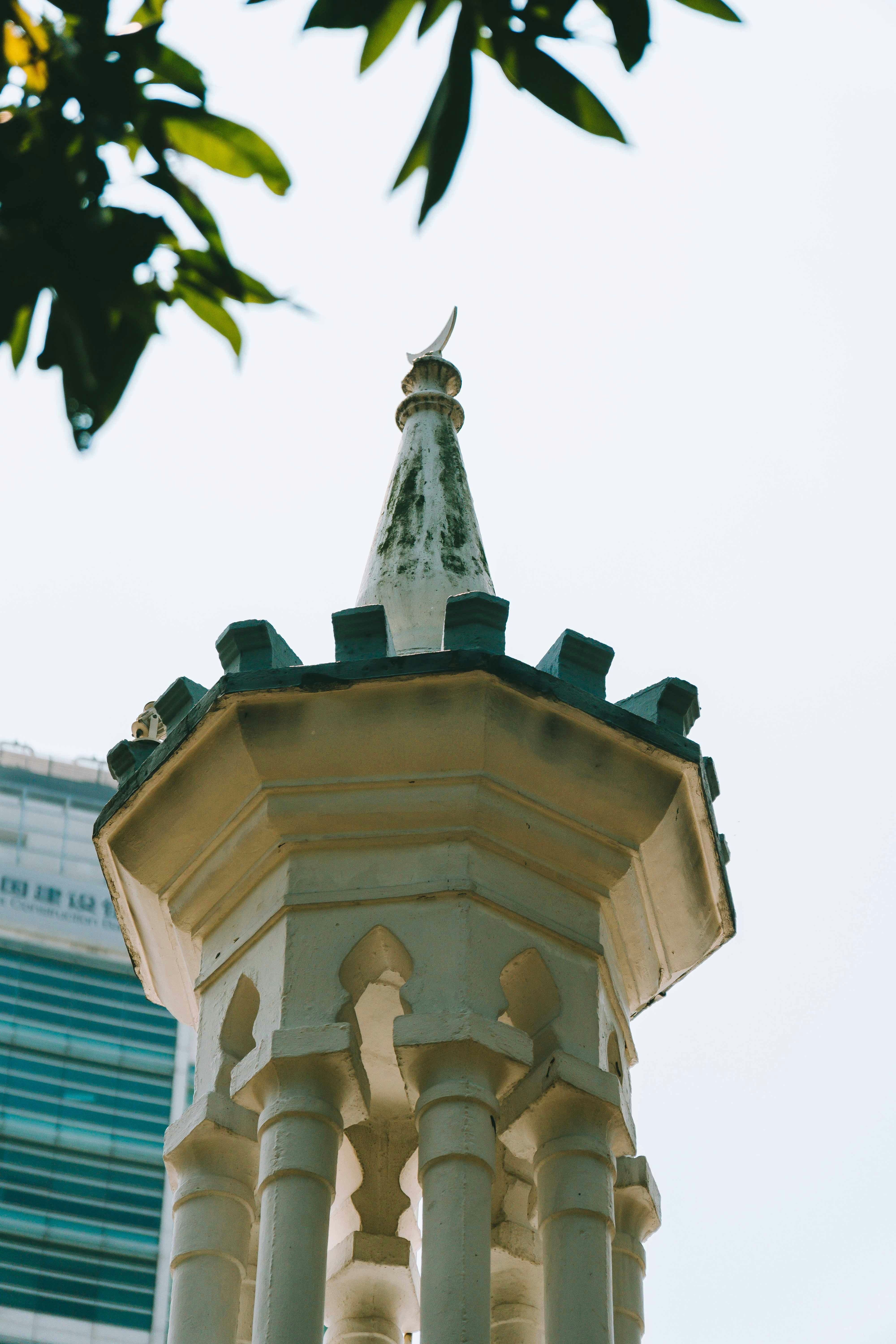 Towered Crest: A Sculpted Spire Reaches Toward the Sky