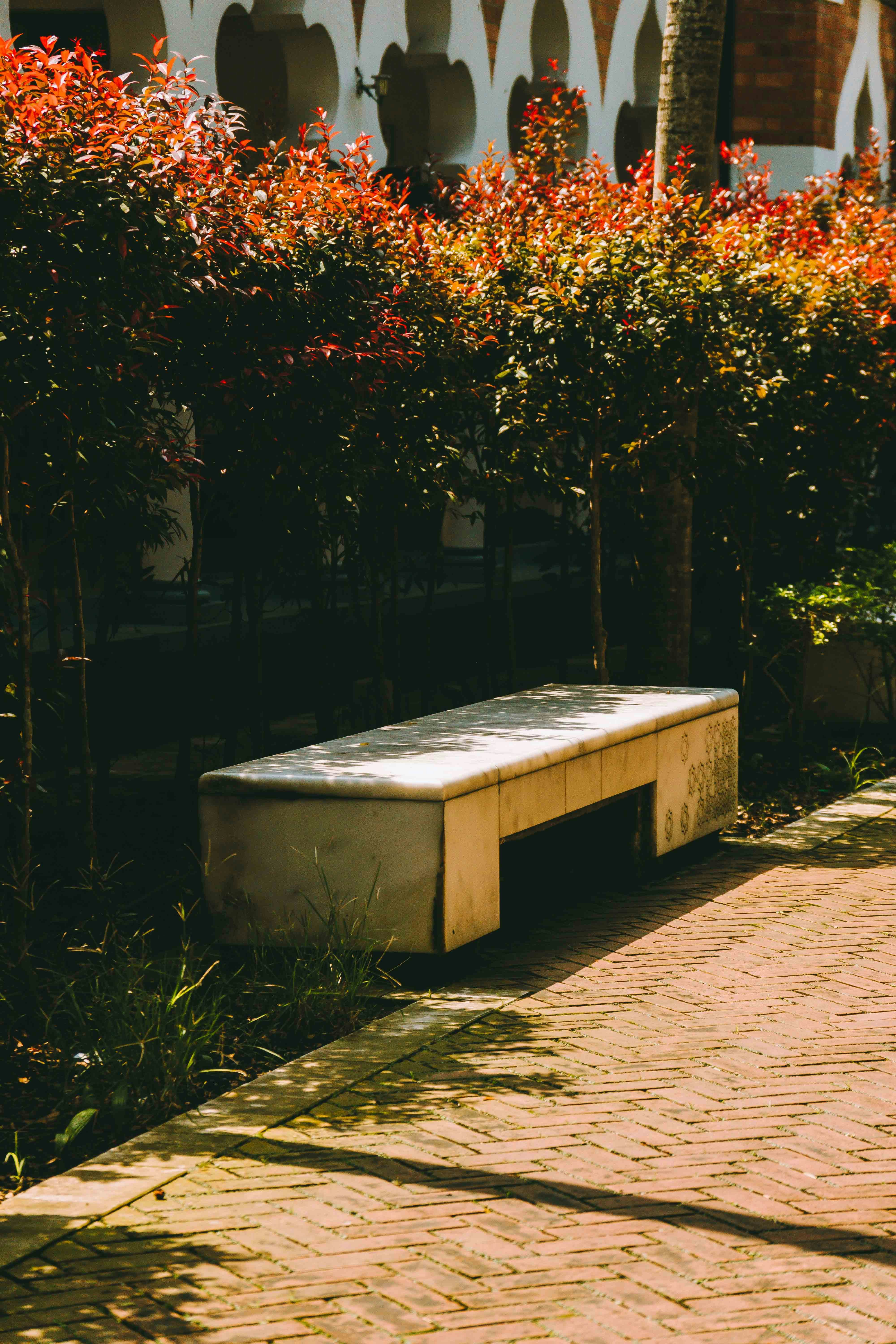 Photo by Khanh Nguyen with Sony Alpha 6400