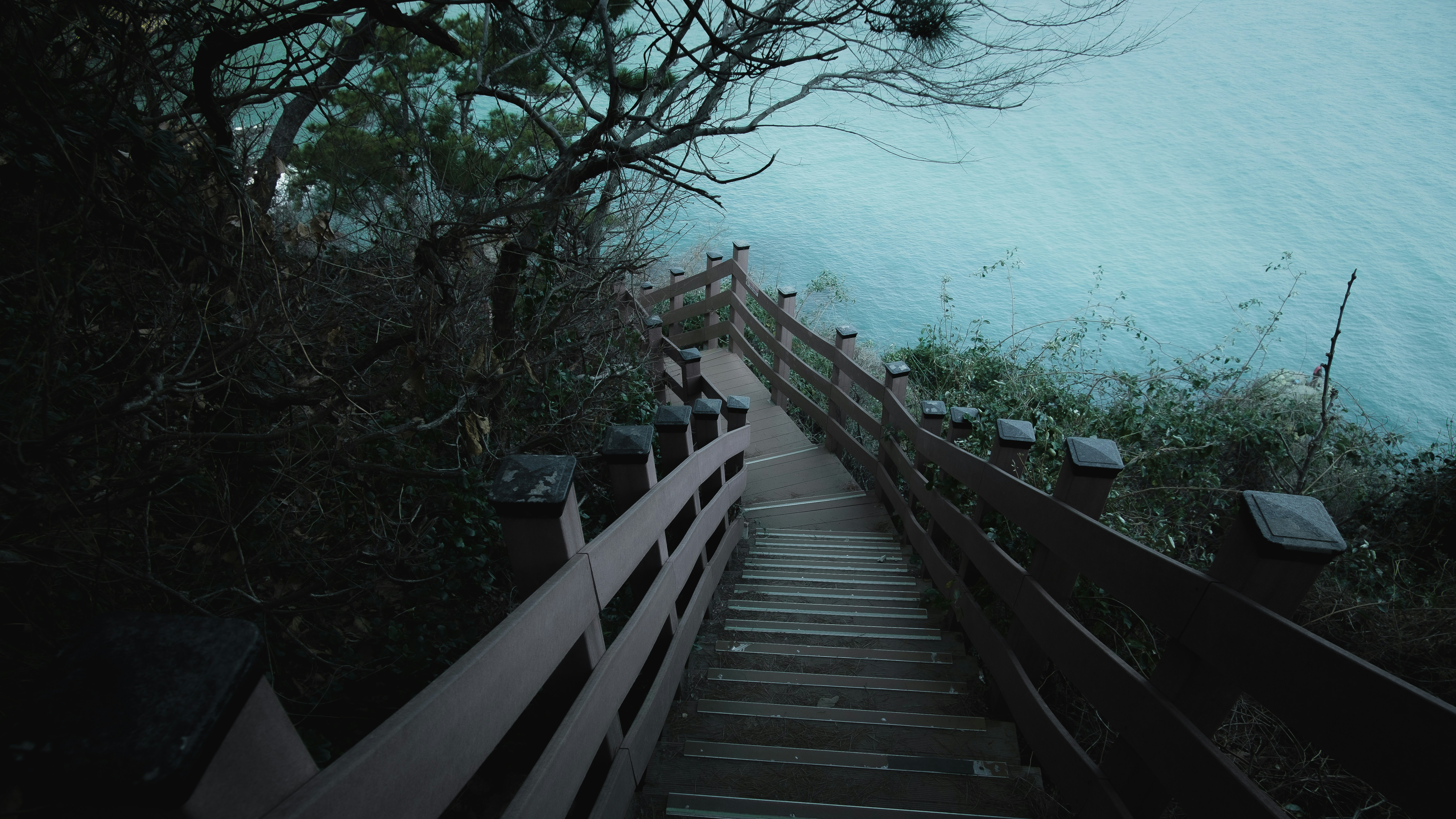 Photo by Hoang Trinh with Fujifilm X-T2