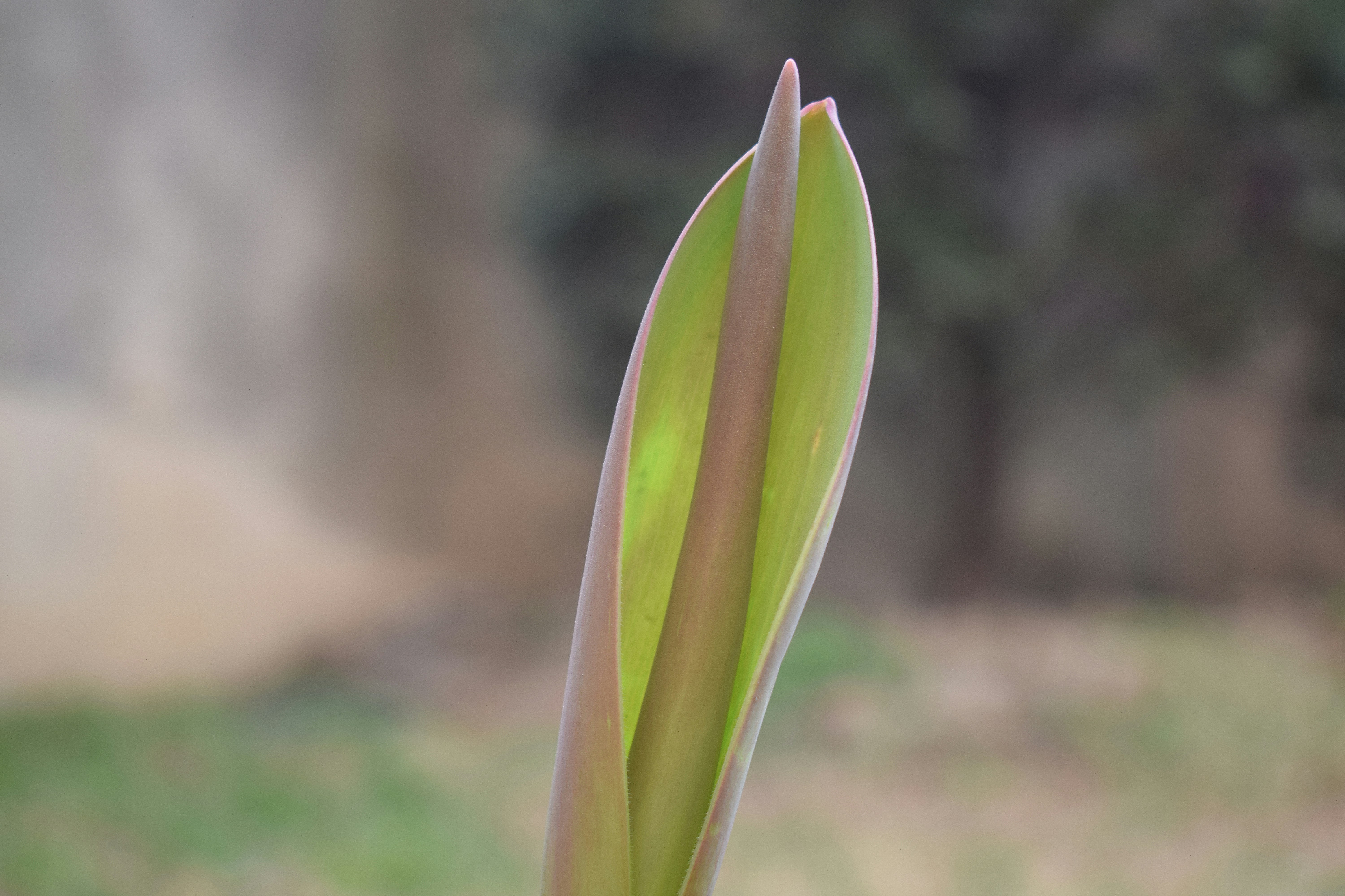 Photo by Marija Zaric with Nikon D5300