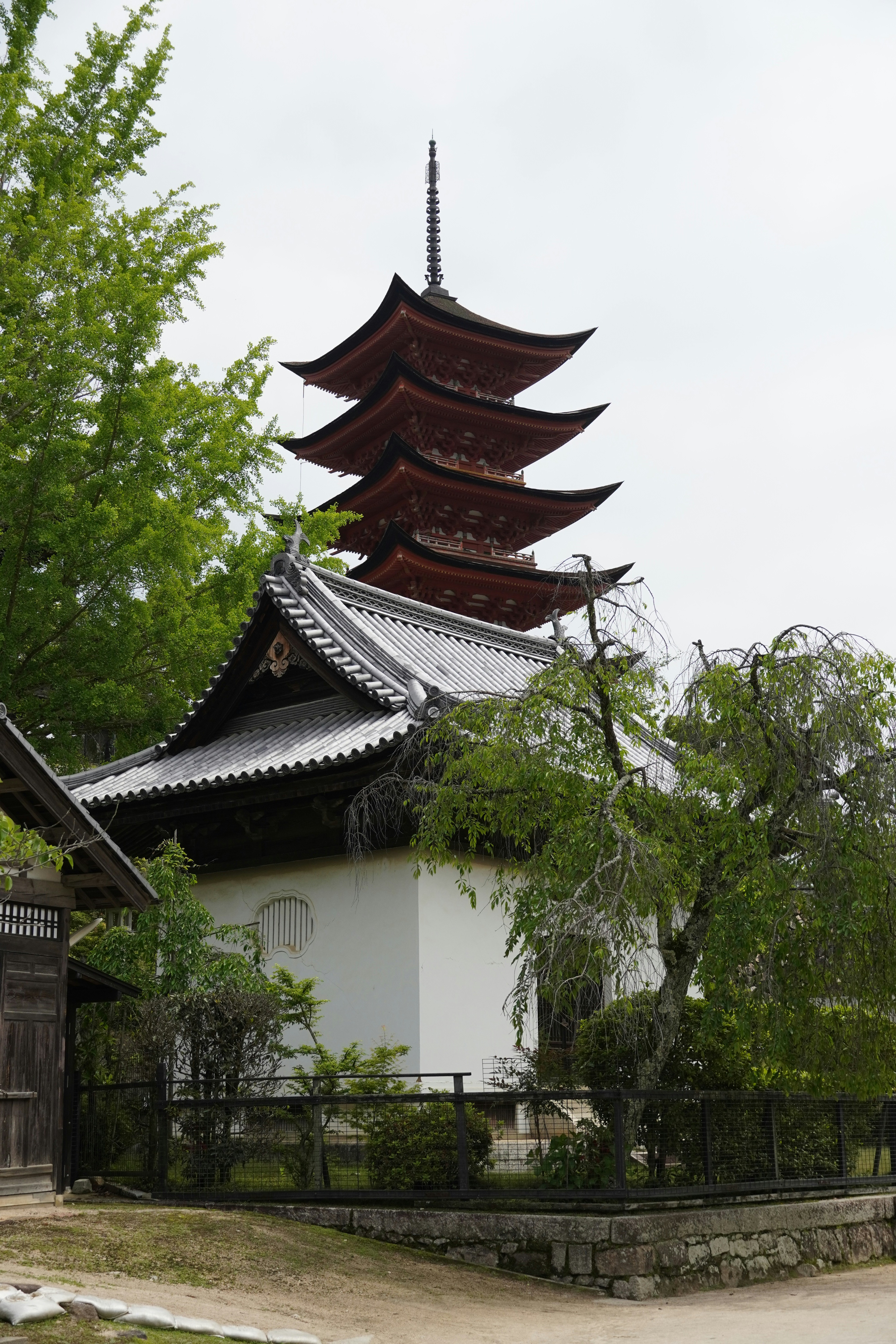 Traditional five-story pagoda rises above lush greenery, showcasing intricate architectural details.