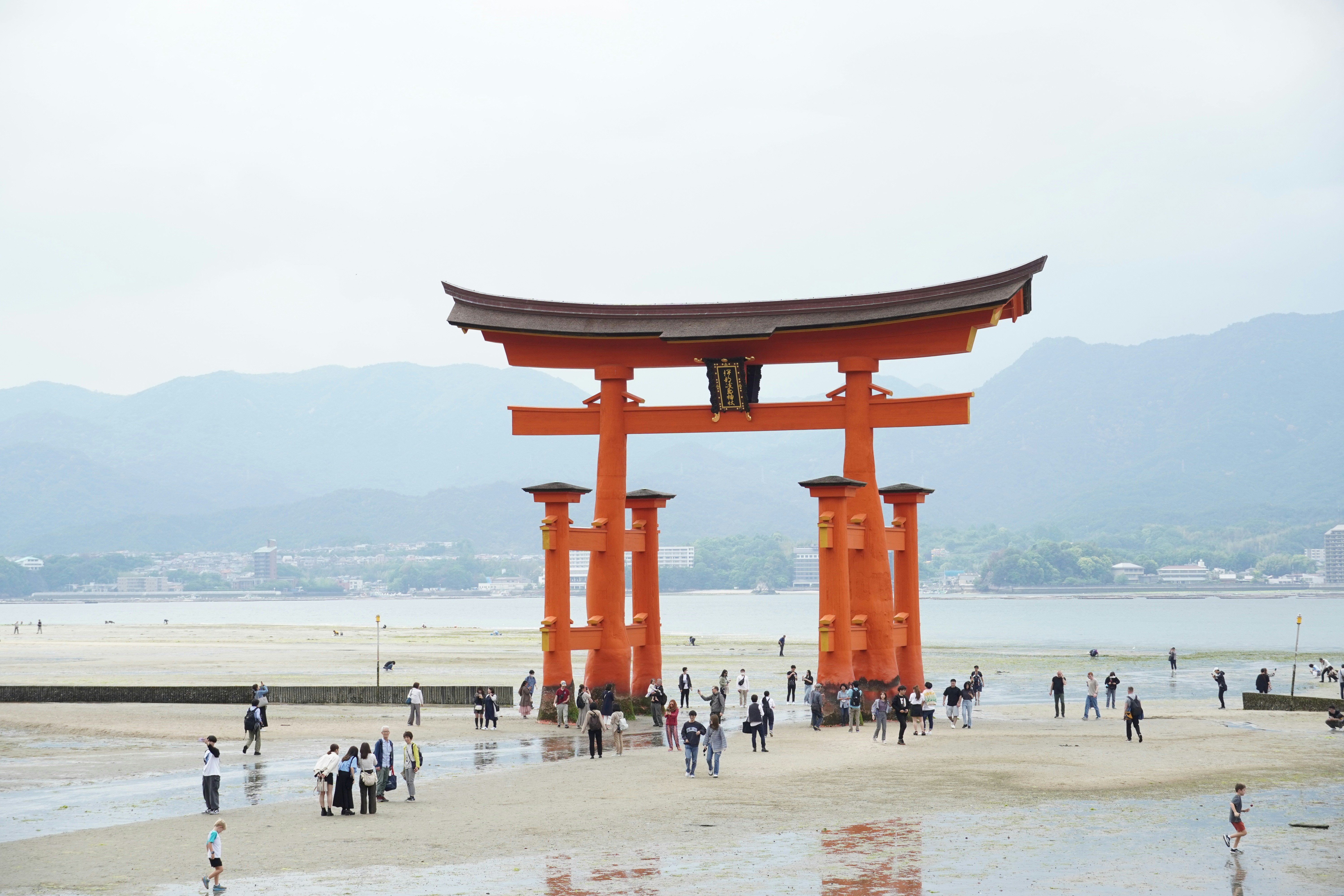 Visitors gather around the iconic red torii gate at low tide with distant mountains under a cloudy sky.