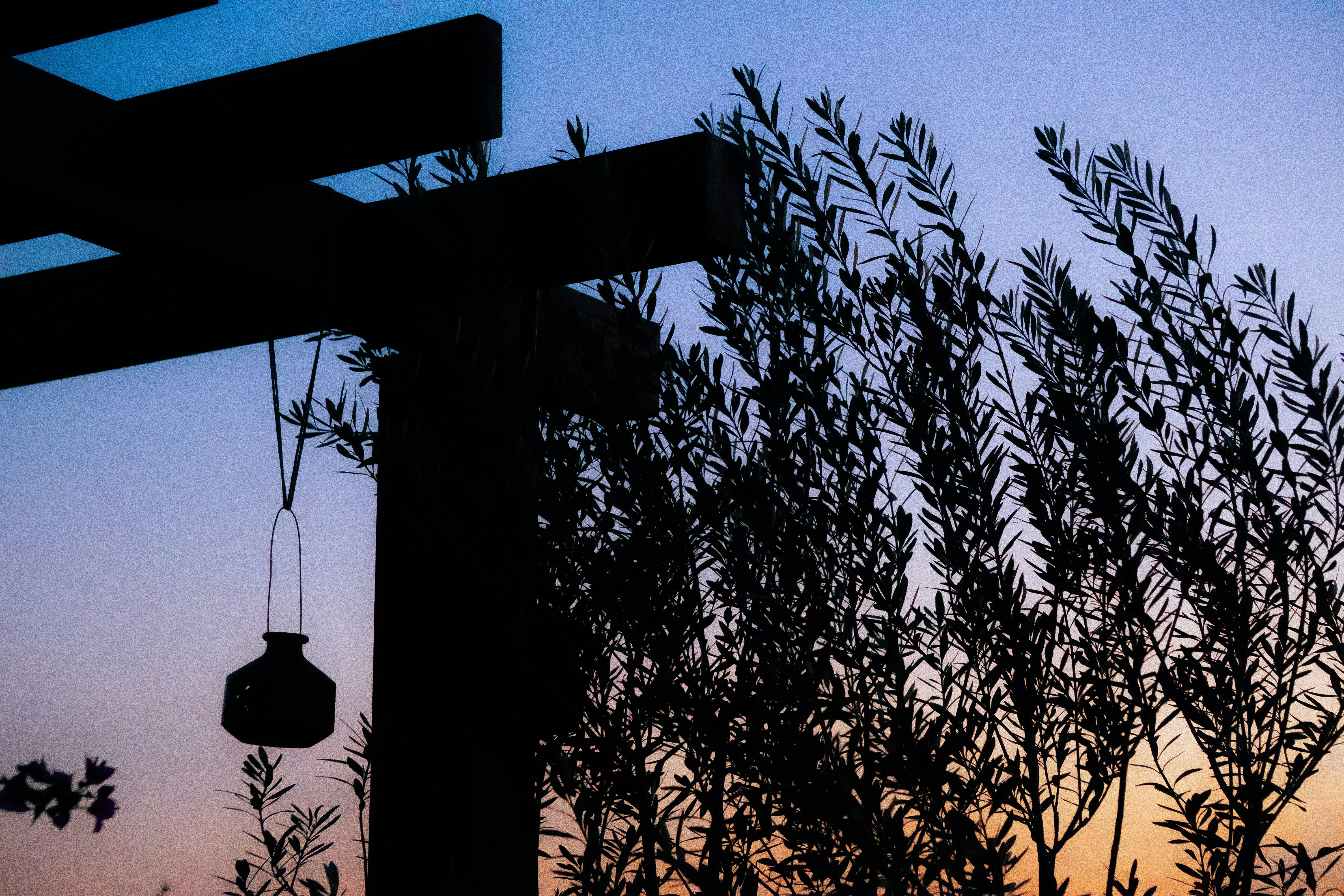 Silhouette of olive branches and a hanging lantern against a gradient sunset sky.