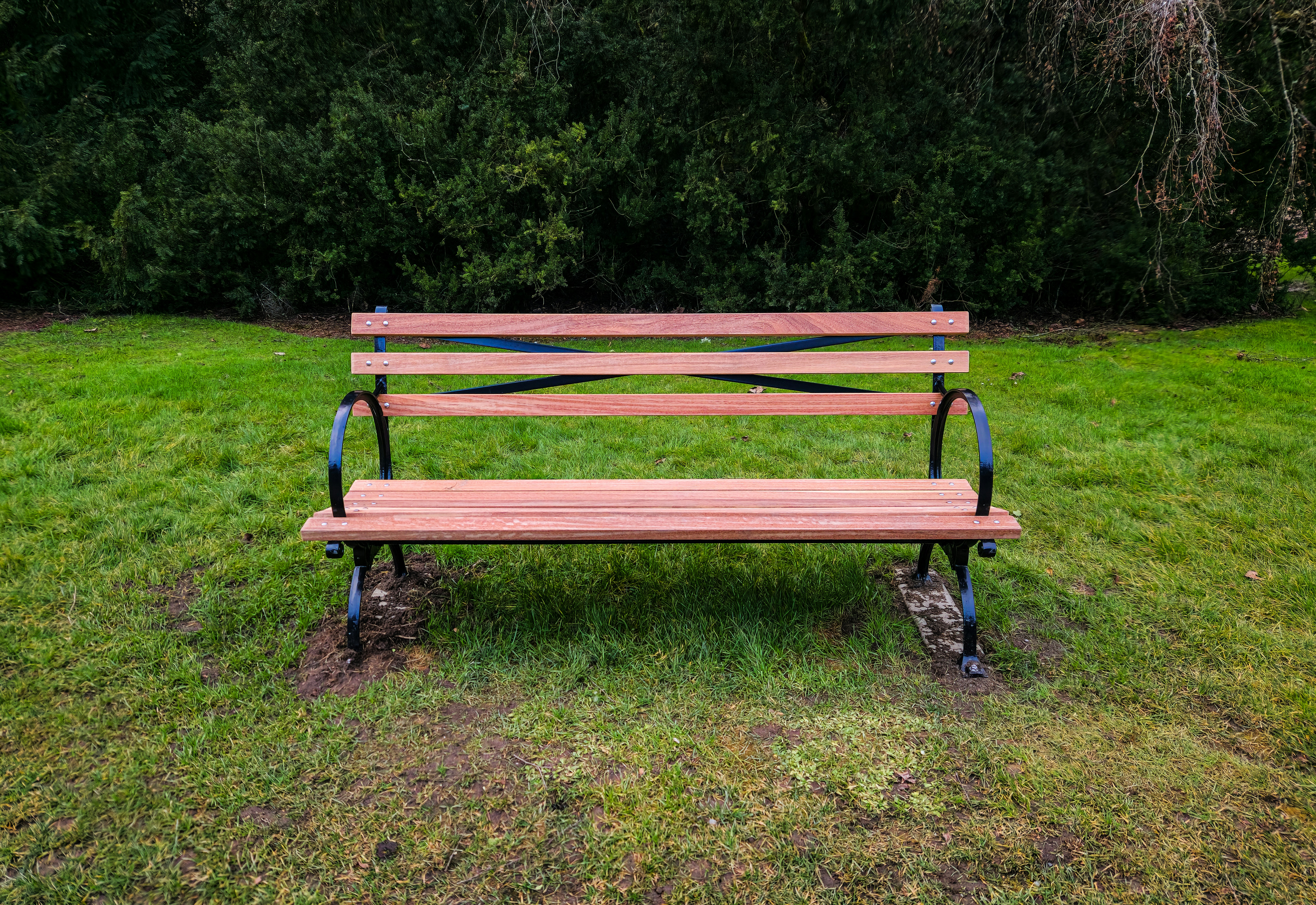 Wooden park bench with metal armrests on lush grass, backed by dense evergreen trees.