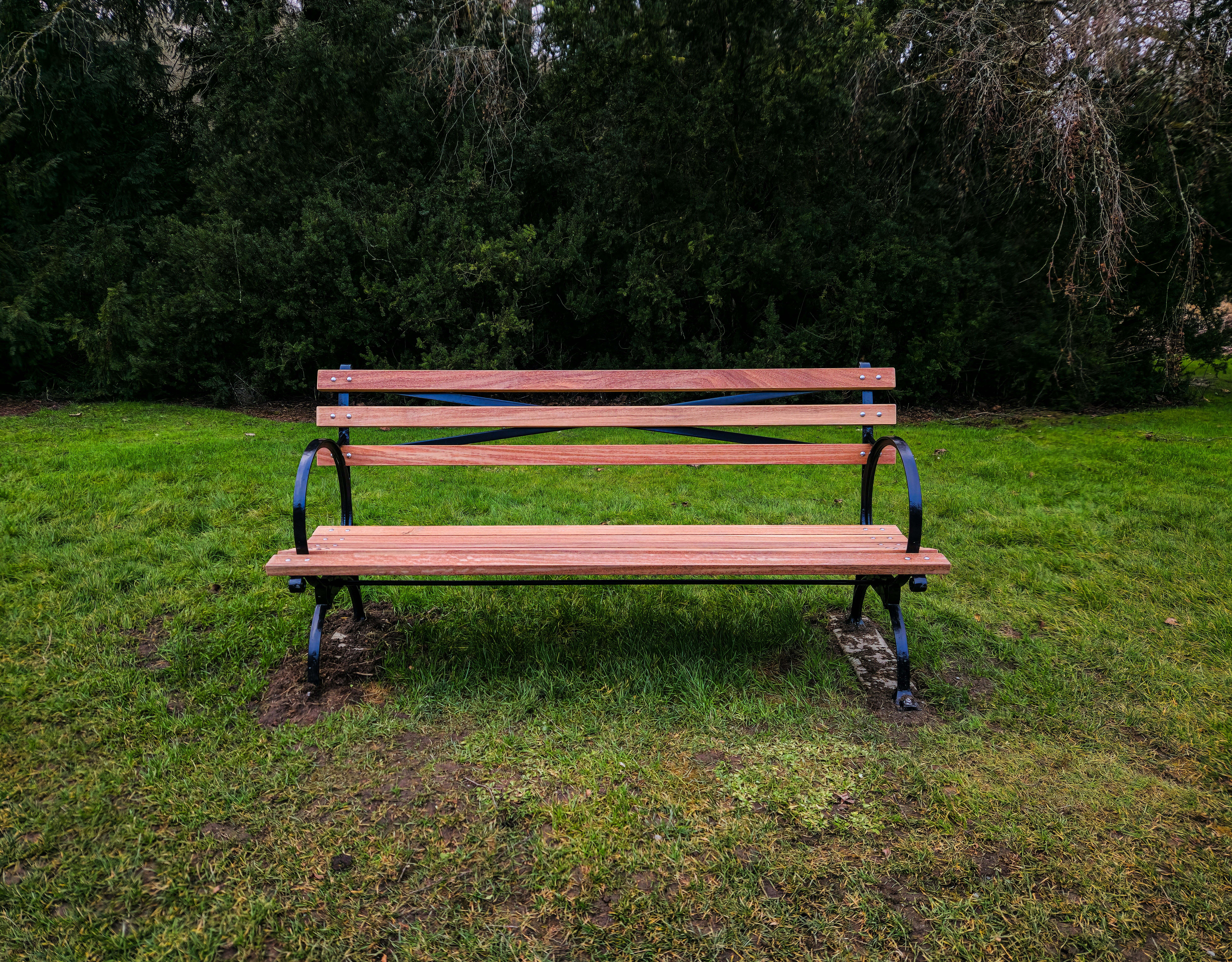 Wooden park bench on lush green grass with evergreen trees in the background.