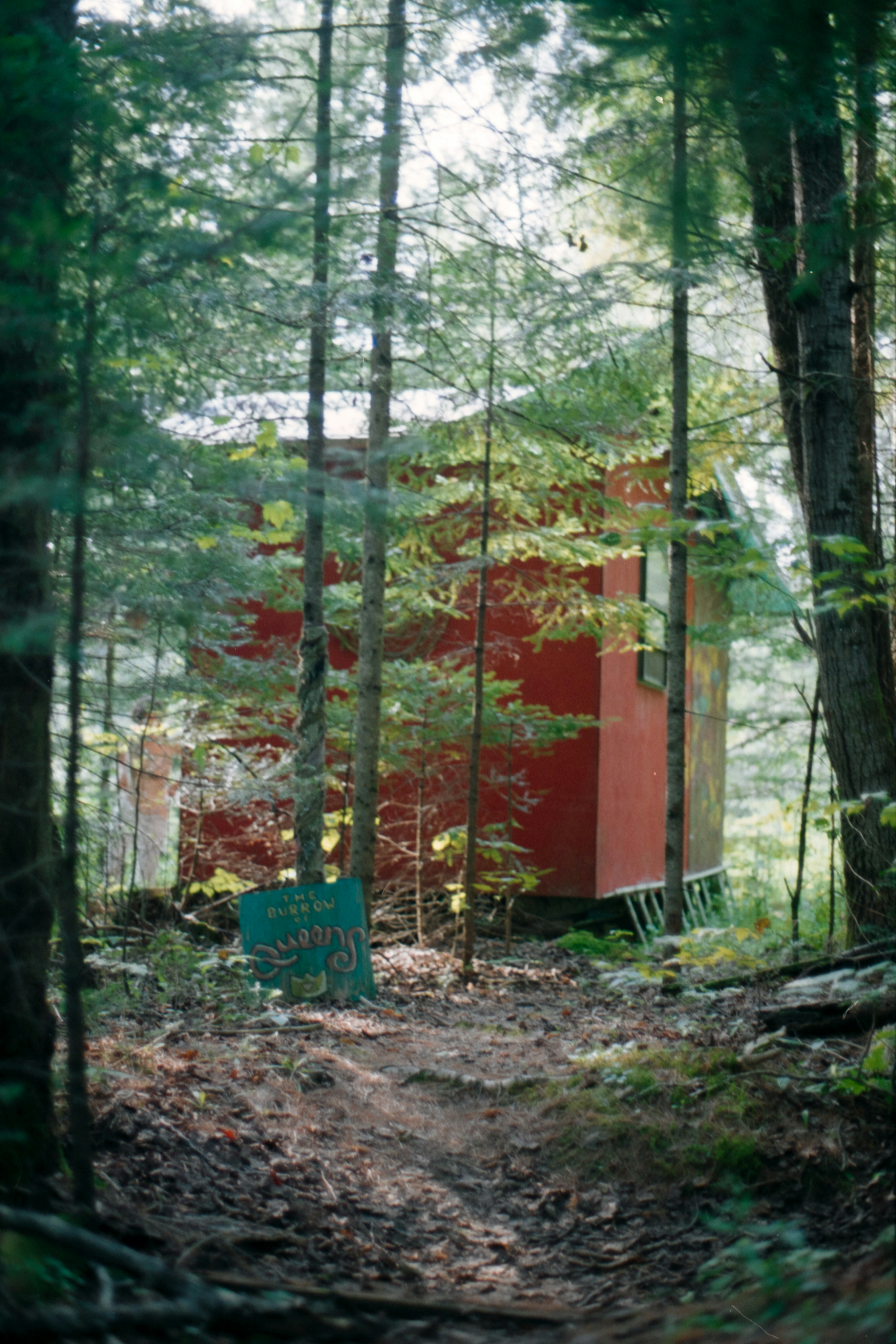 Rustic red cabin nestled in a forest clearing surrounded by tall trees.