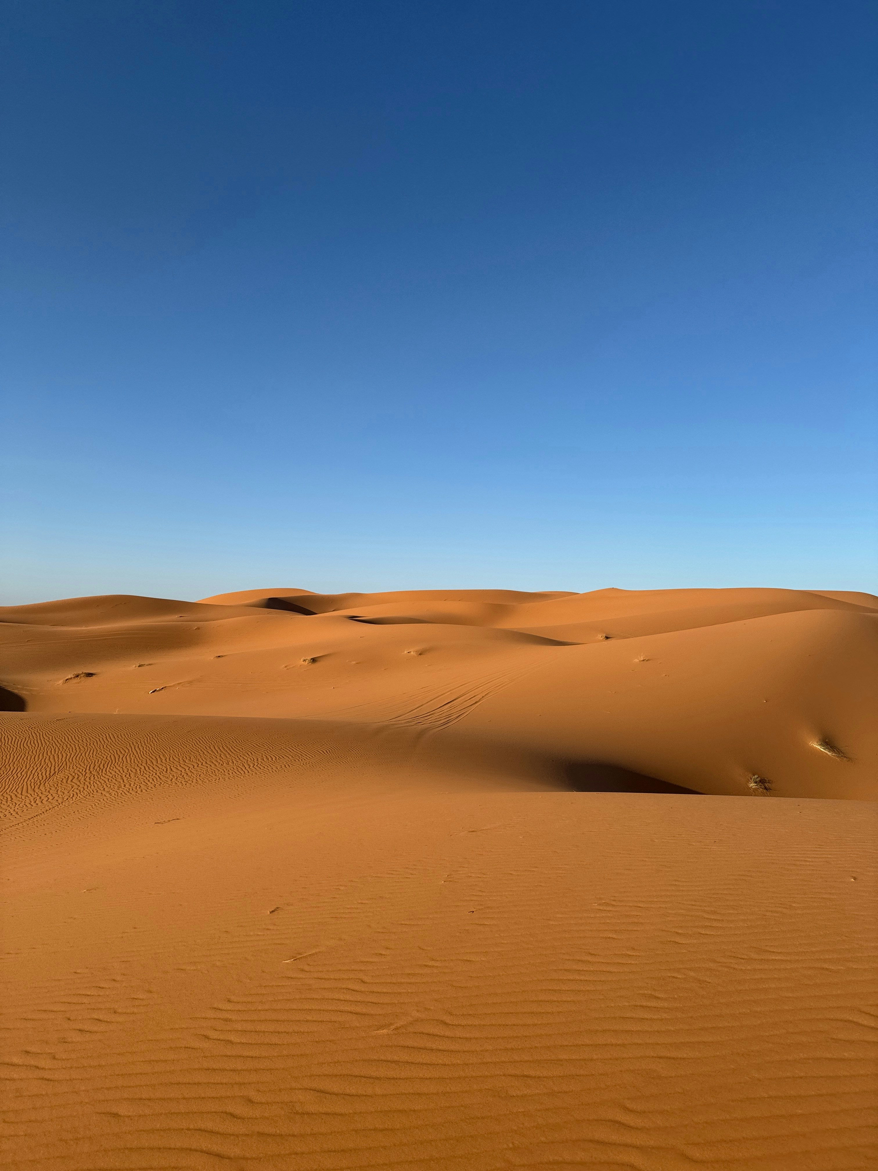 The vast desert sand dunes under a blue sky. photo – Free Desert Image ...