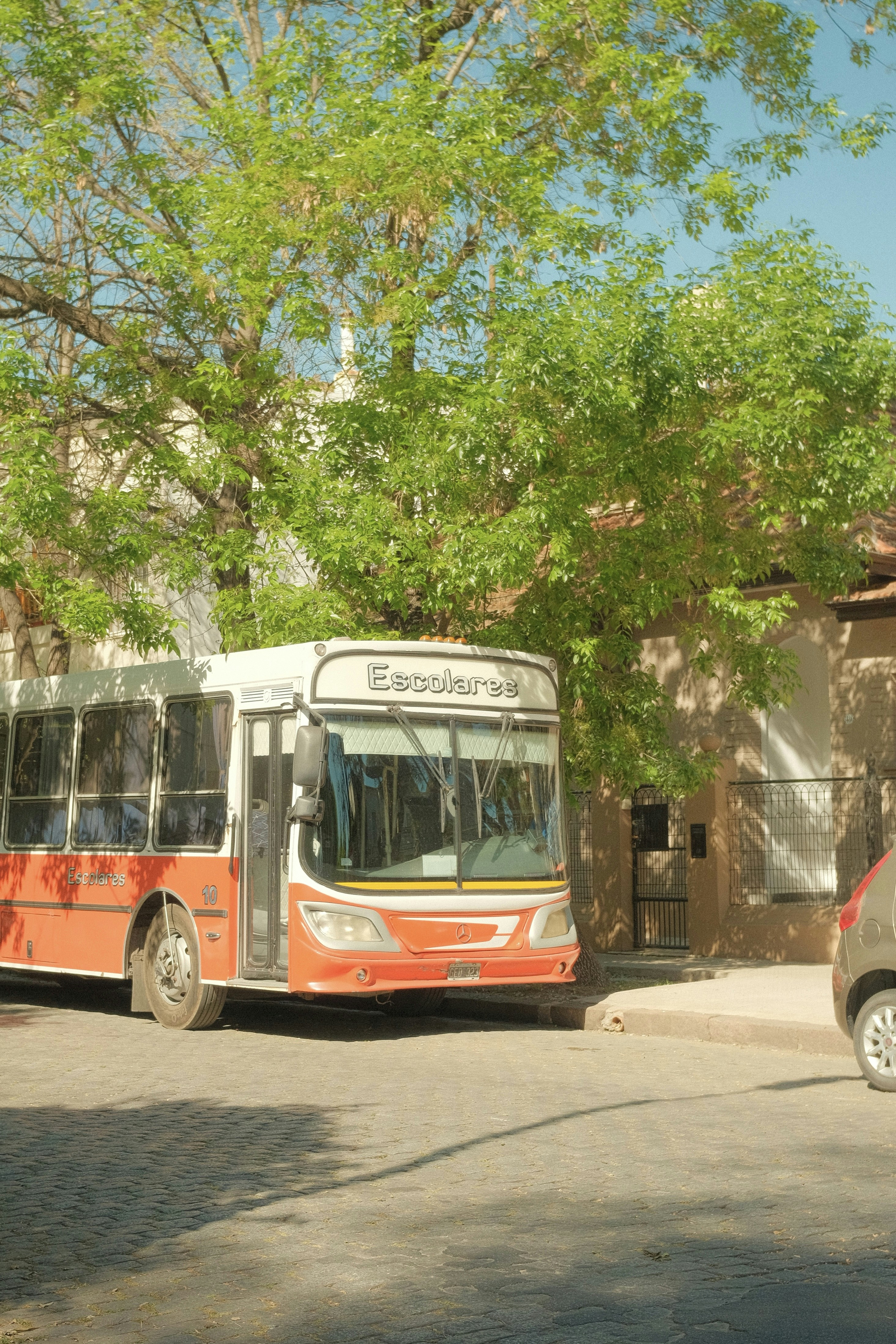 Photo by Tammy Taabassum with Fujifilm X-T30 II