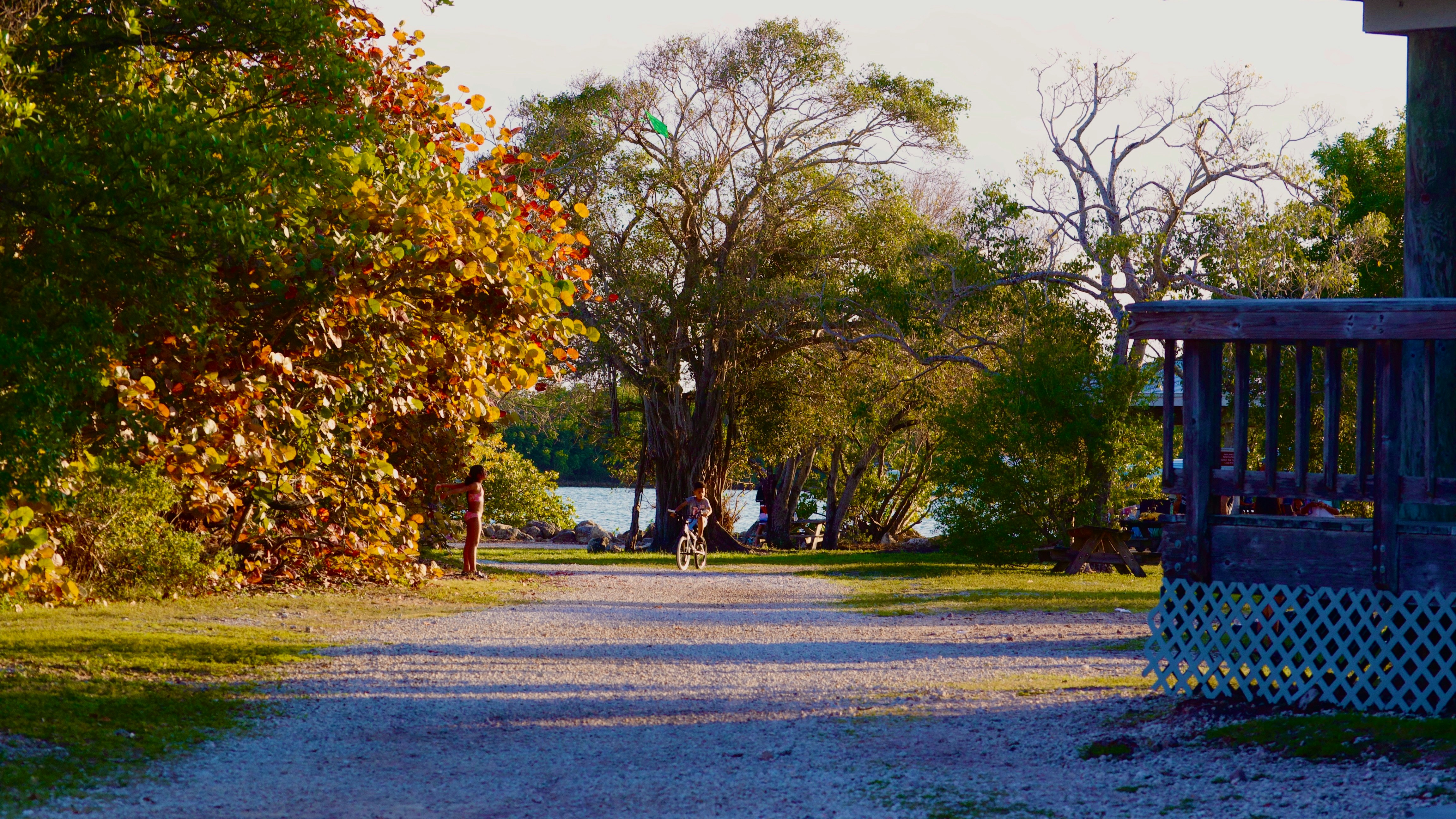 Sunlit path flanked by vibrant autumn foliage leading to a tranquil lake with a child riding a bicycle.