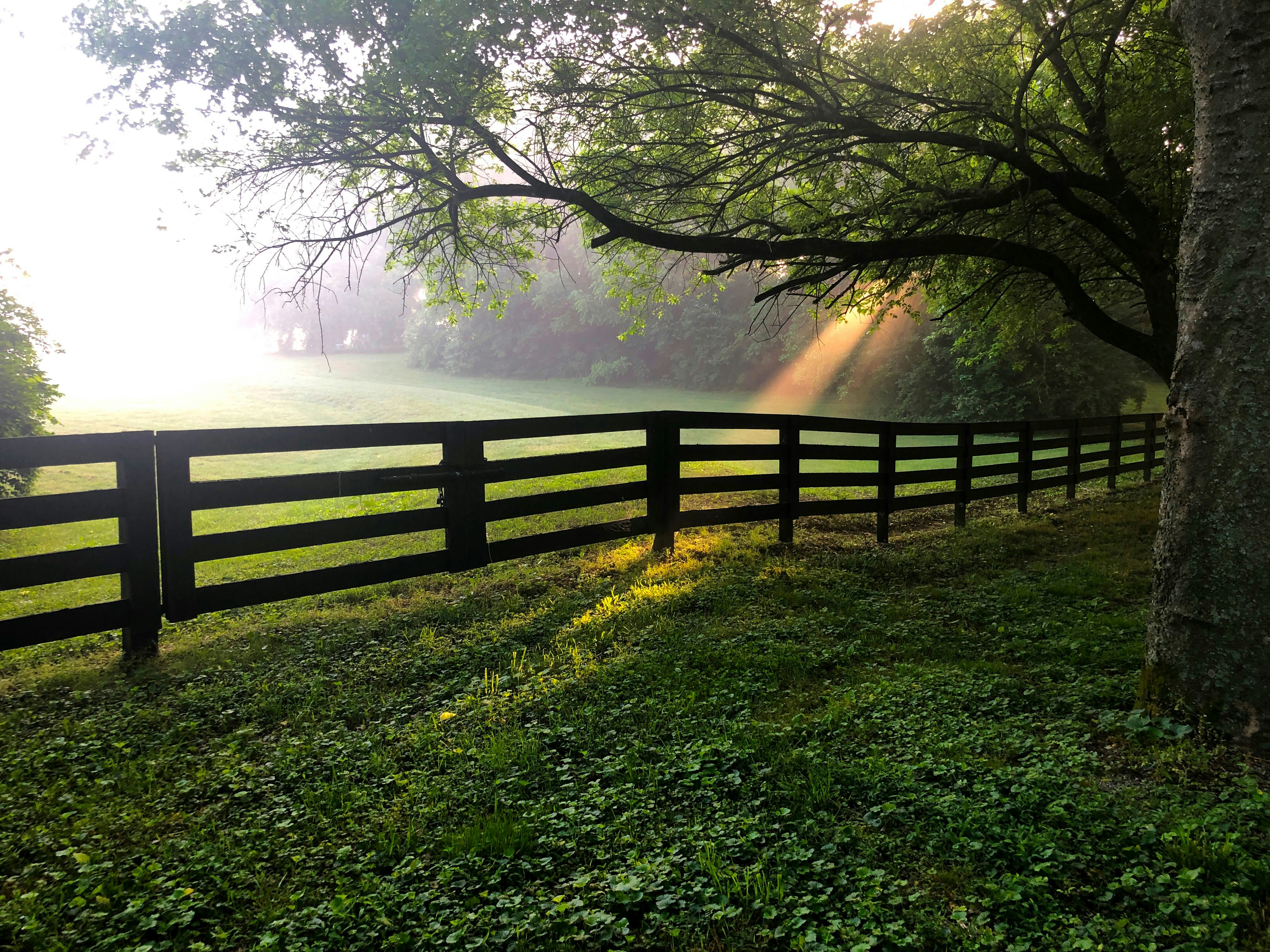 Sunlight streams over a fence and field. photo – Free Forest Image on ...