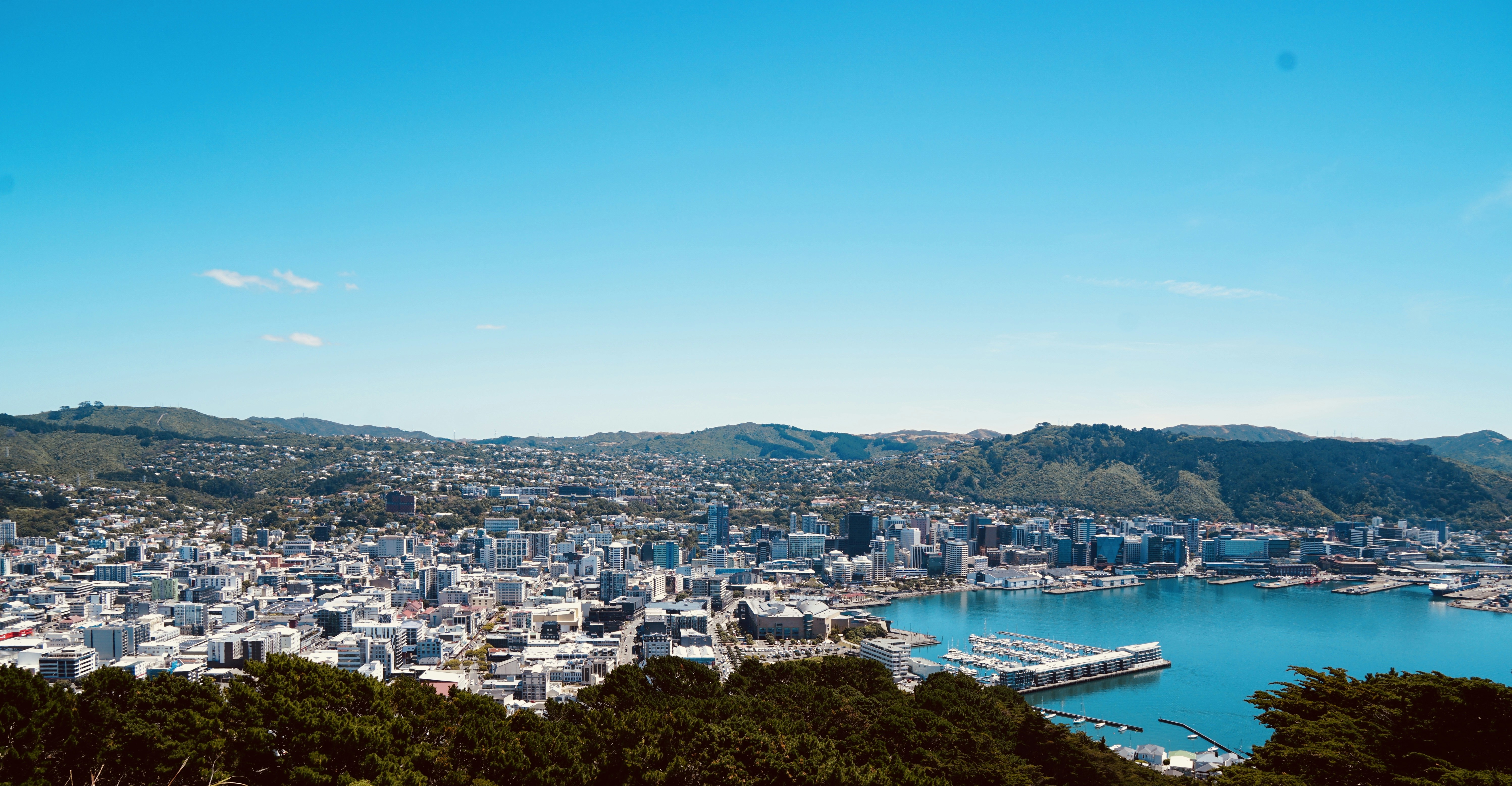 Cityscape with a vibrant blue harbor surrounded by lush green hills under a clear sky.