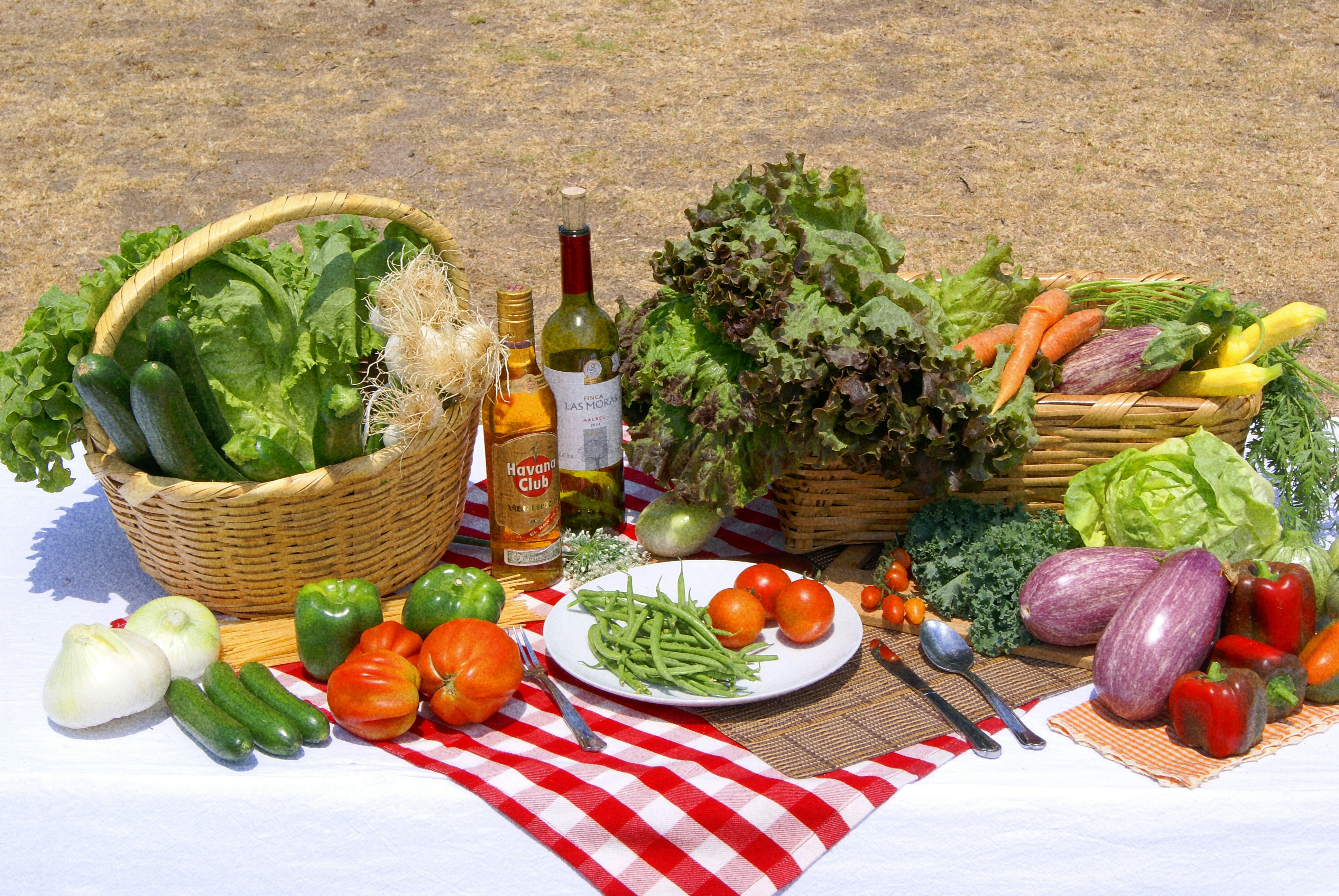 Photo by Jessica Flores with Sony Alpha 330