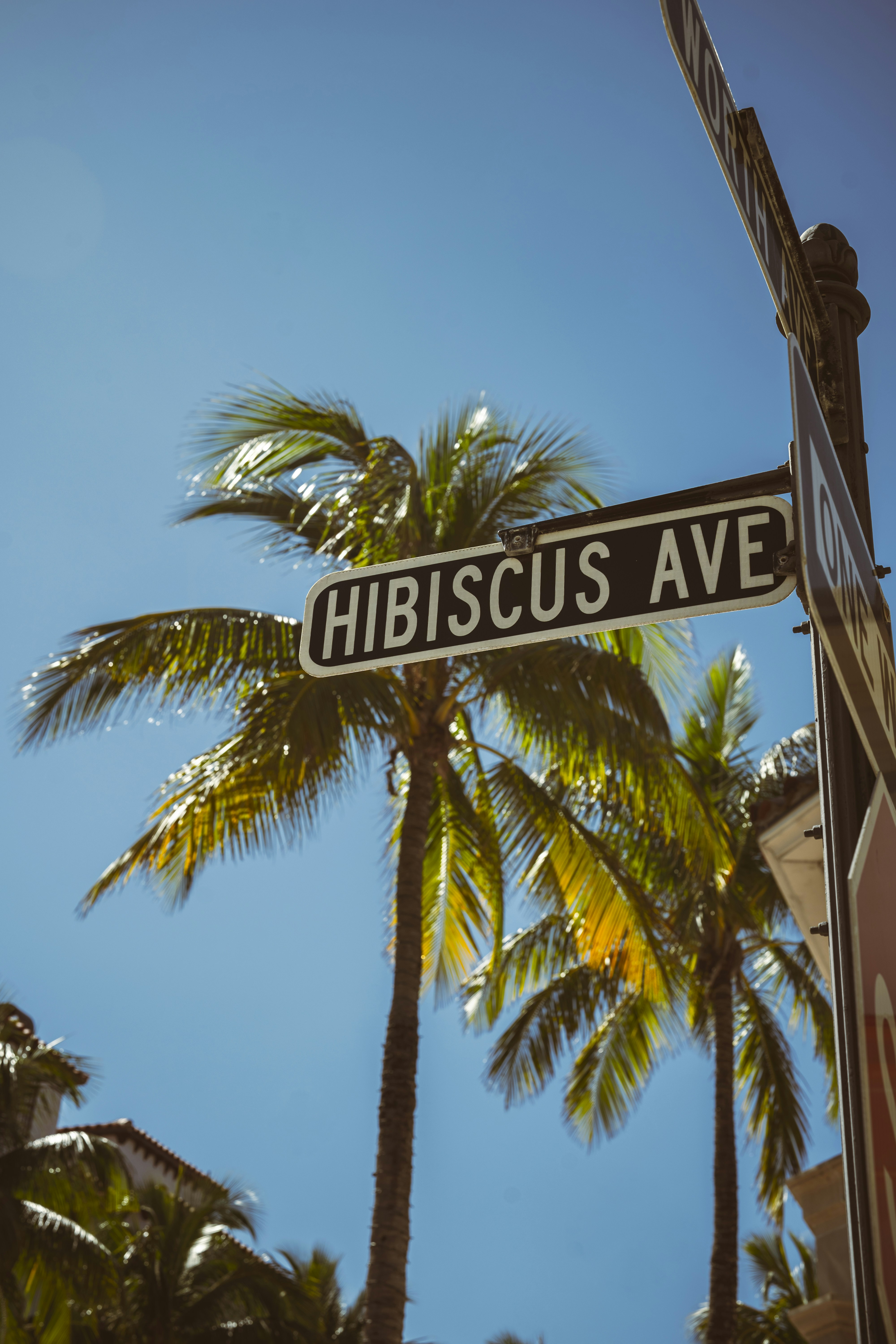 Hibiscus Ave Sign Framed by Palm Canopy Under a Pristine Blue Sky