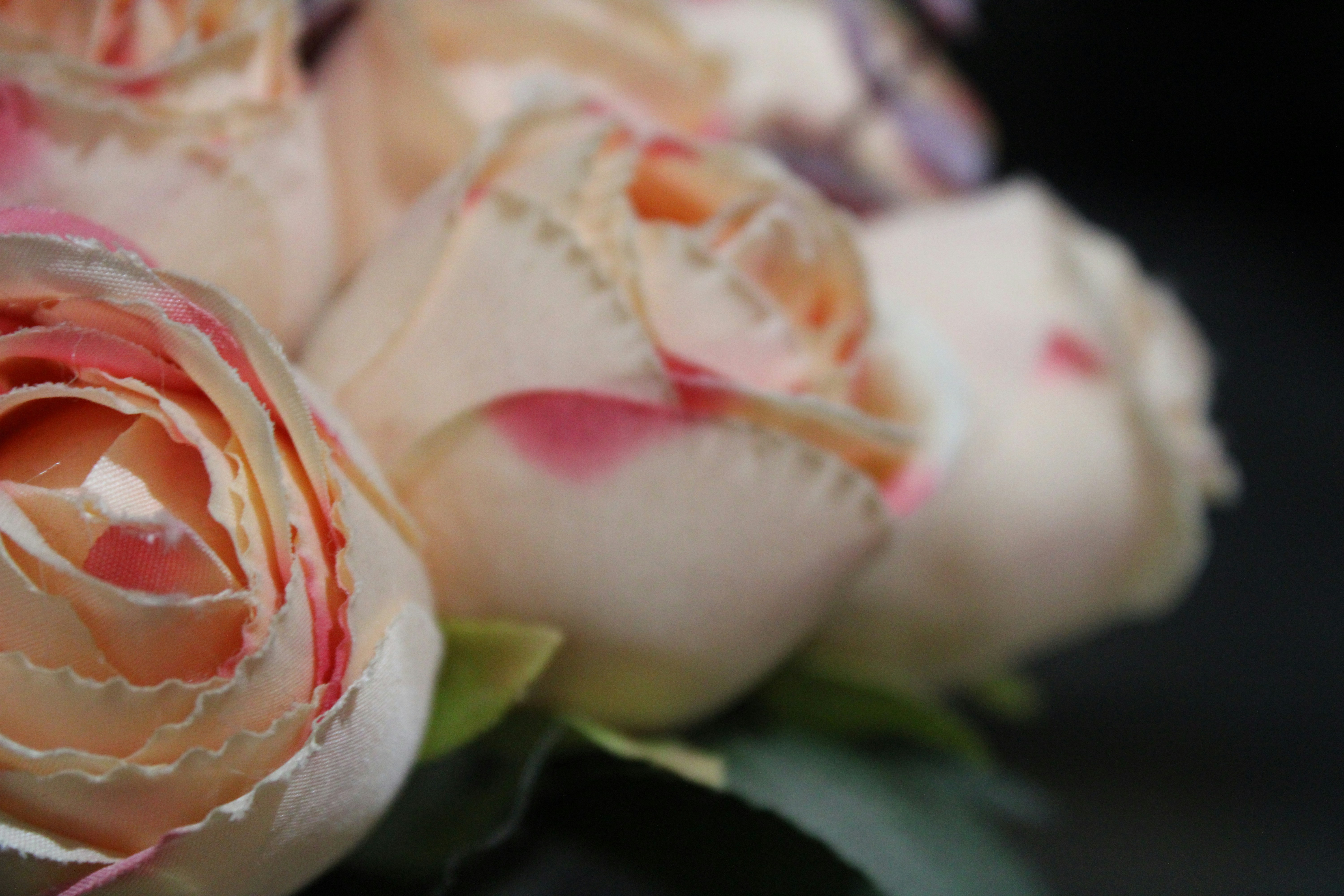 Beautiful pale pink roses in a bouquet. photo – Free Flowers Image on ...