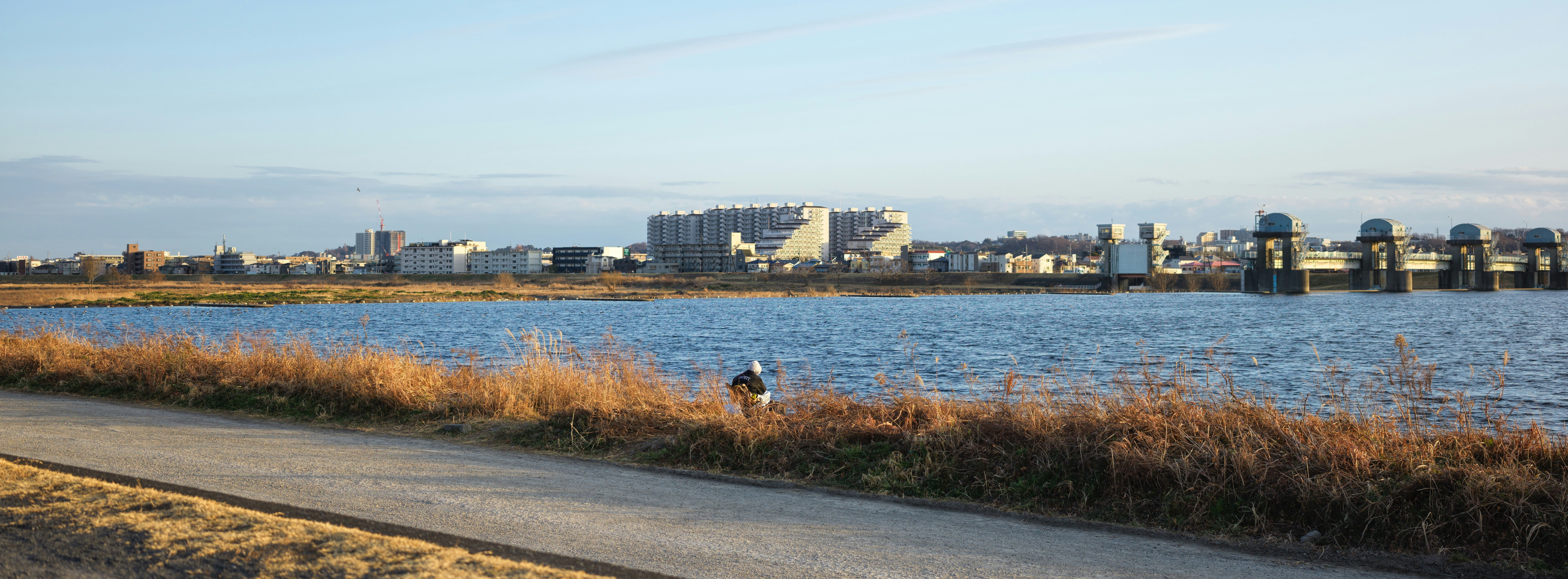 Riverside path with golden grasses and a distant urban skyline under a clear sky.