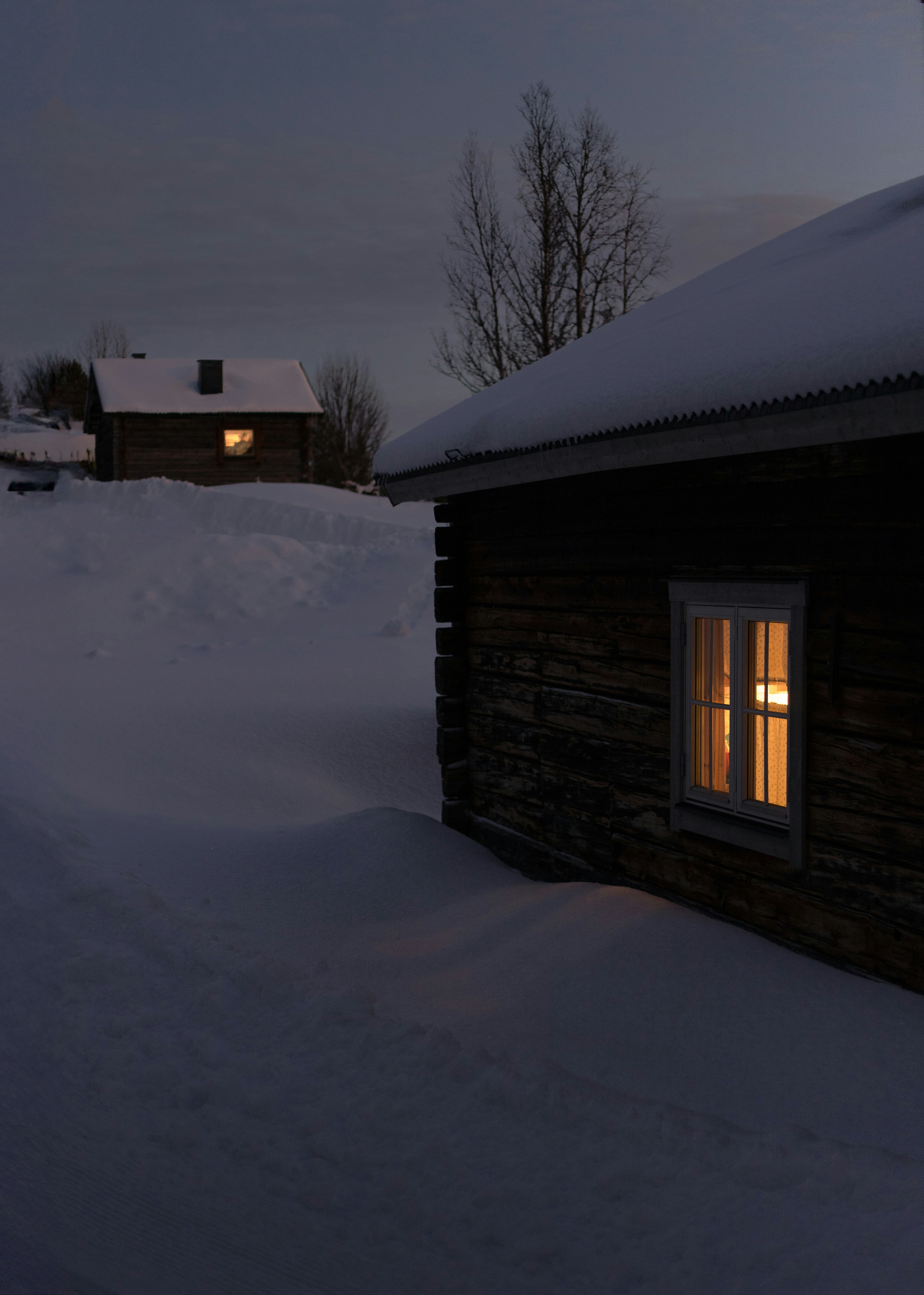 Winter Evening Pictures | Download Free Images on Unsplash