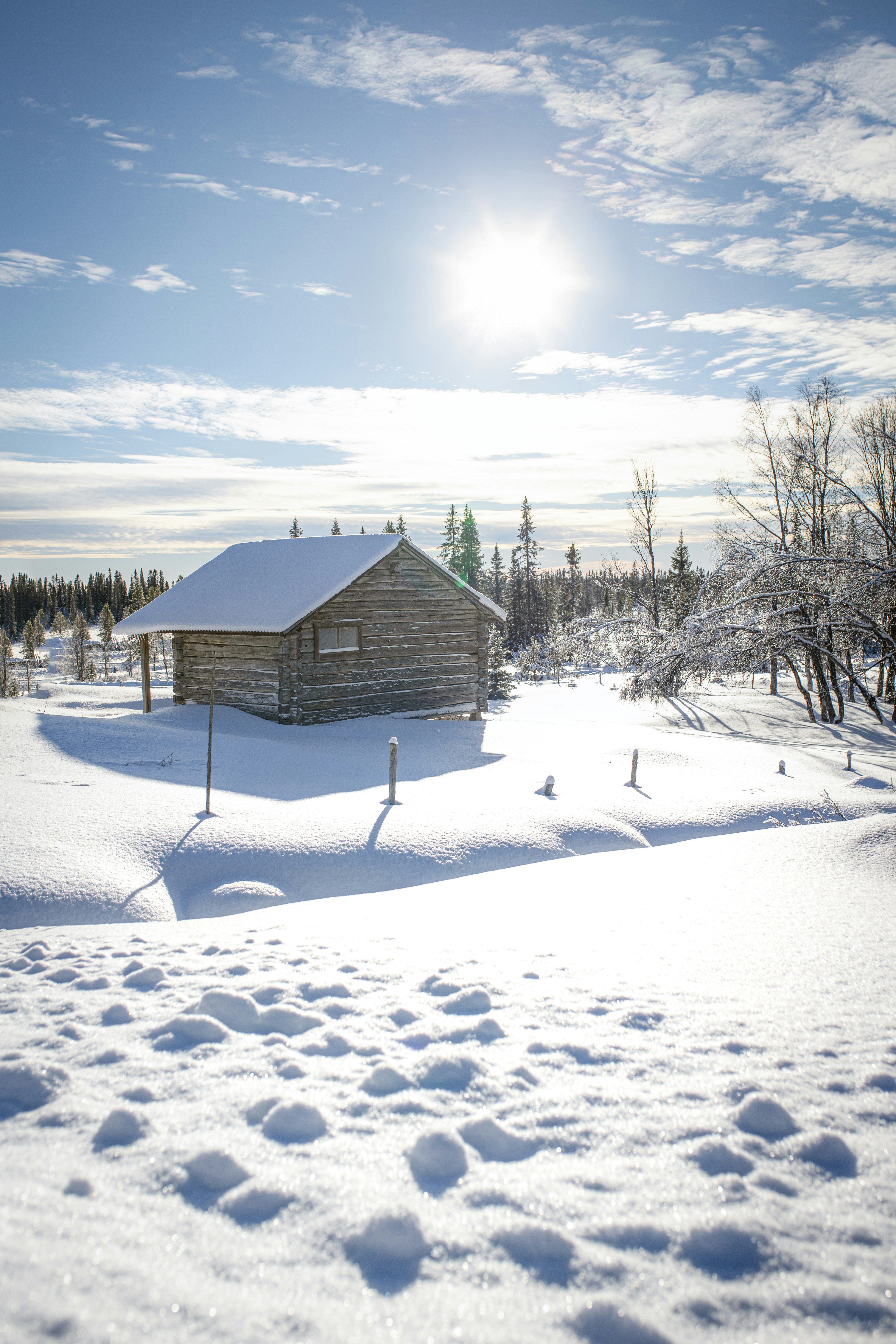 Snowbound Cabin Under a Striking Winter Sun