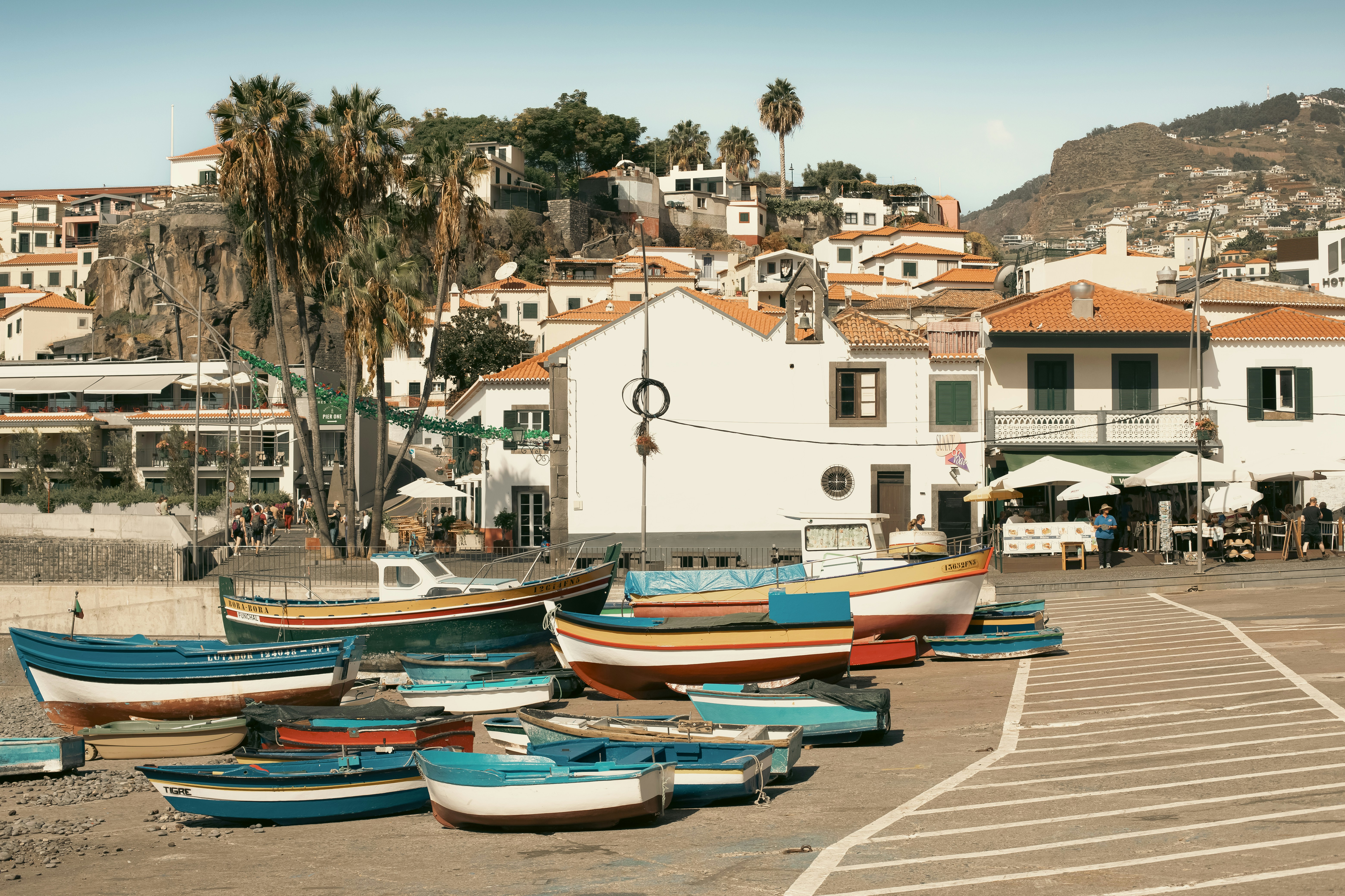 Harbor Harmony in Sunlit Serenity