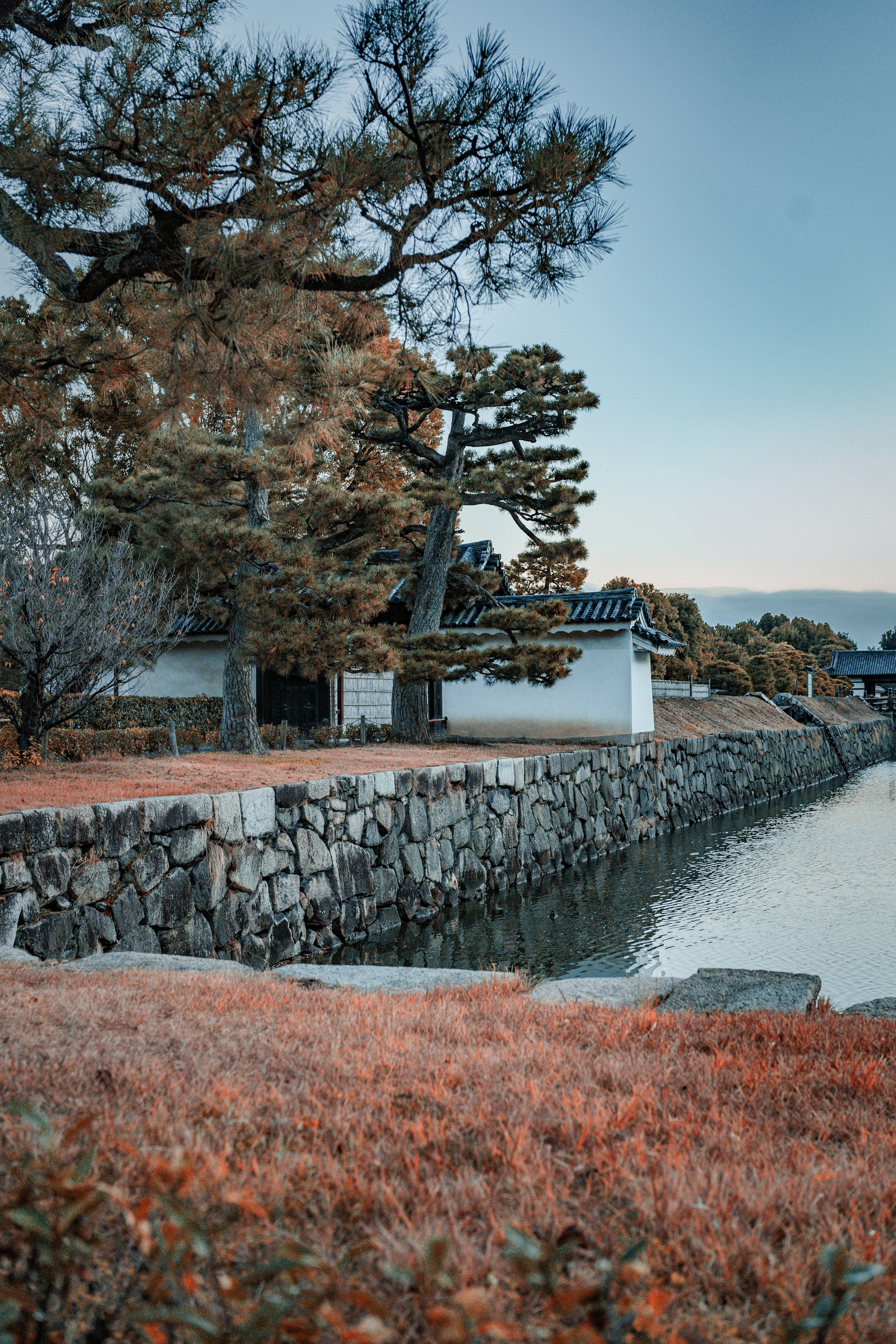 Stone Barrier Serenade: Pines, Water, and a Quiet Japanese Riverside House