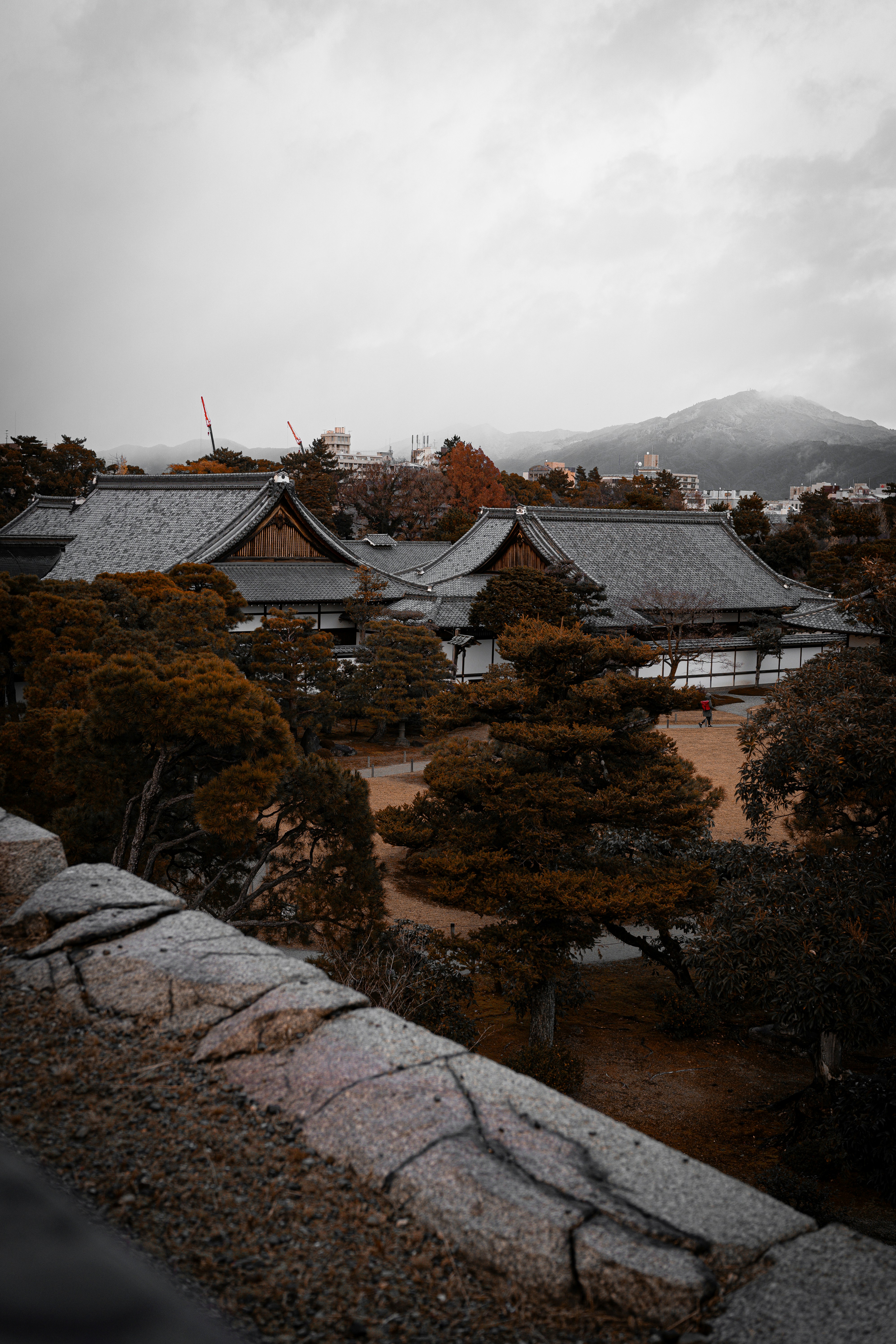 Grey Sky, Red Pines: Quiet Symmetry of a Japanese Temple