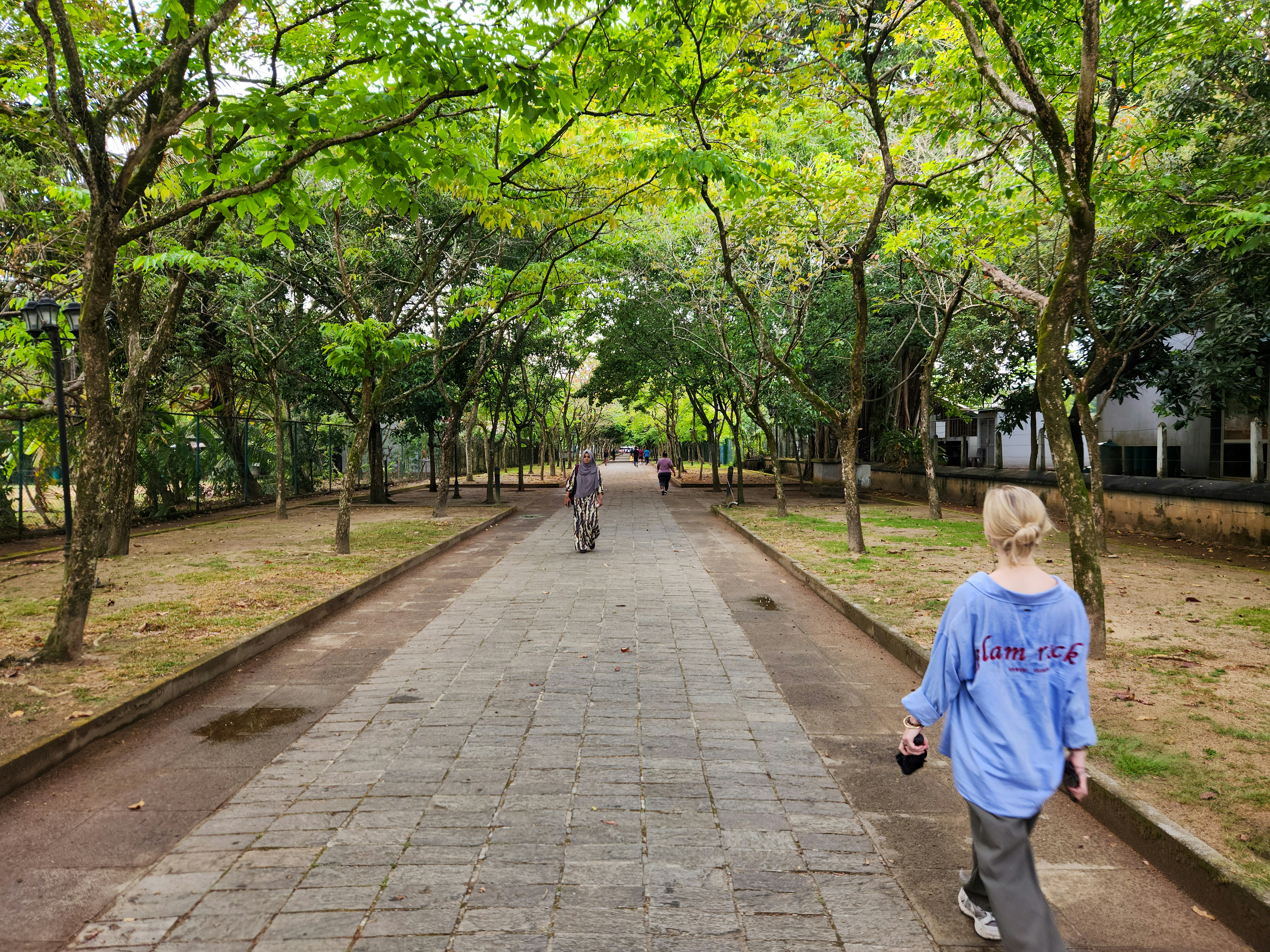 Tree-lined walkway with people strolling, surrounded by lush greenery under a canopy of leaves.