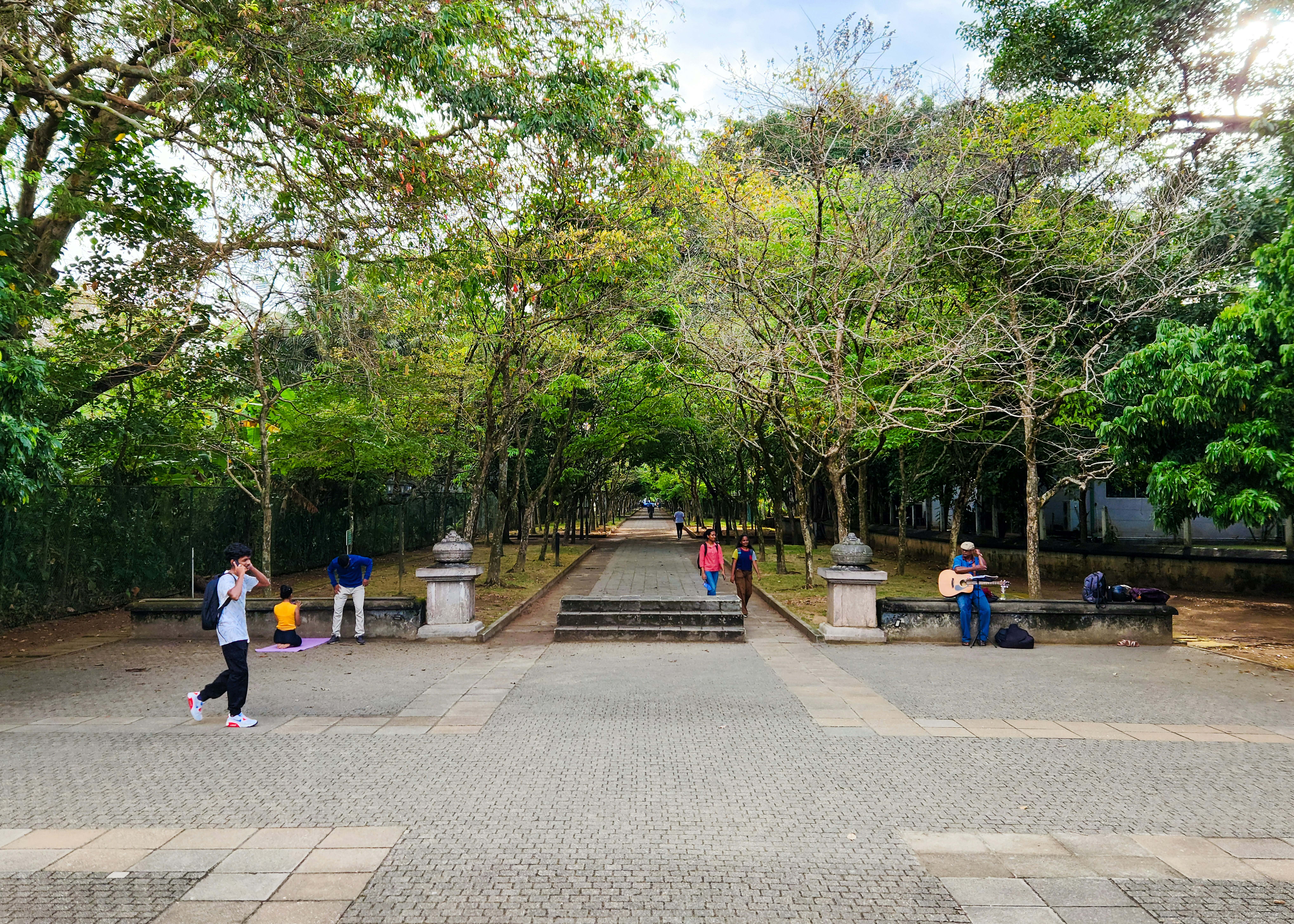 Tree-lined walkway in Colombo with people strolling and relaxing.
