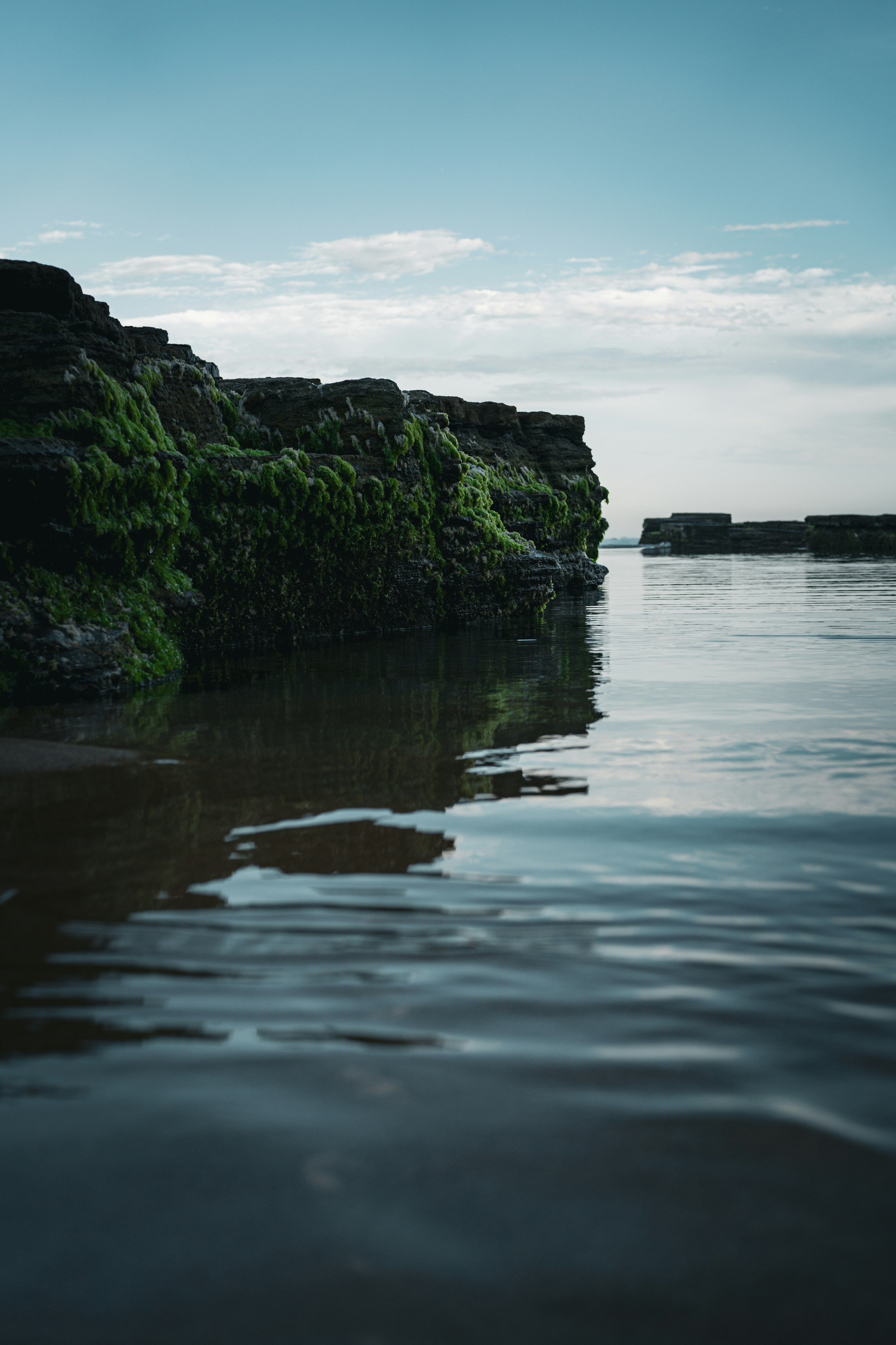 Mossy Cliffs Meet a Still Coastal Mirror