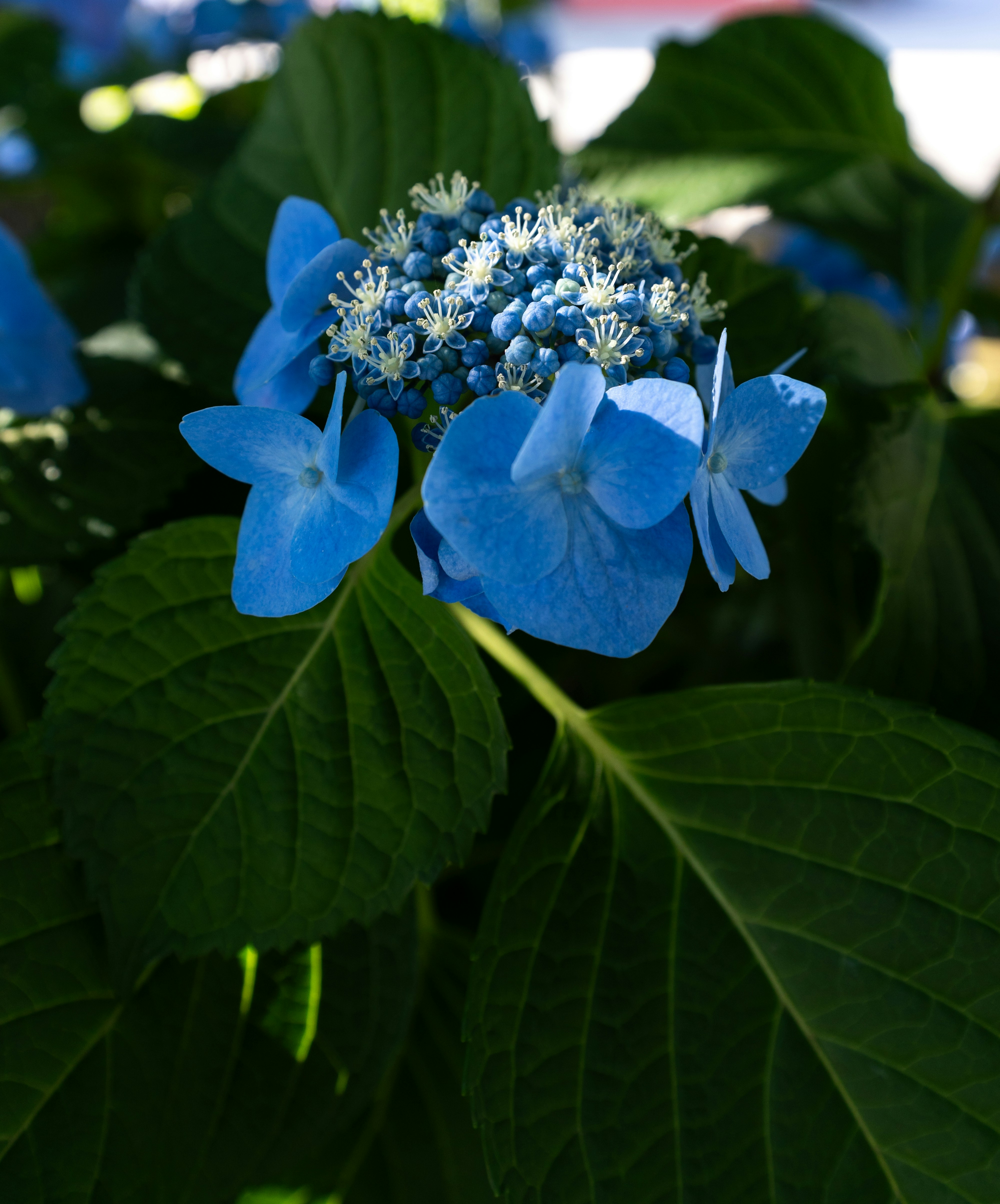 Photo by Ben George with Sony Alpha 7 III