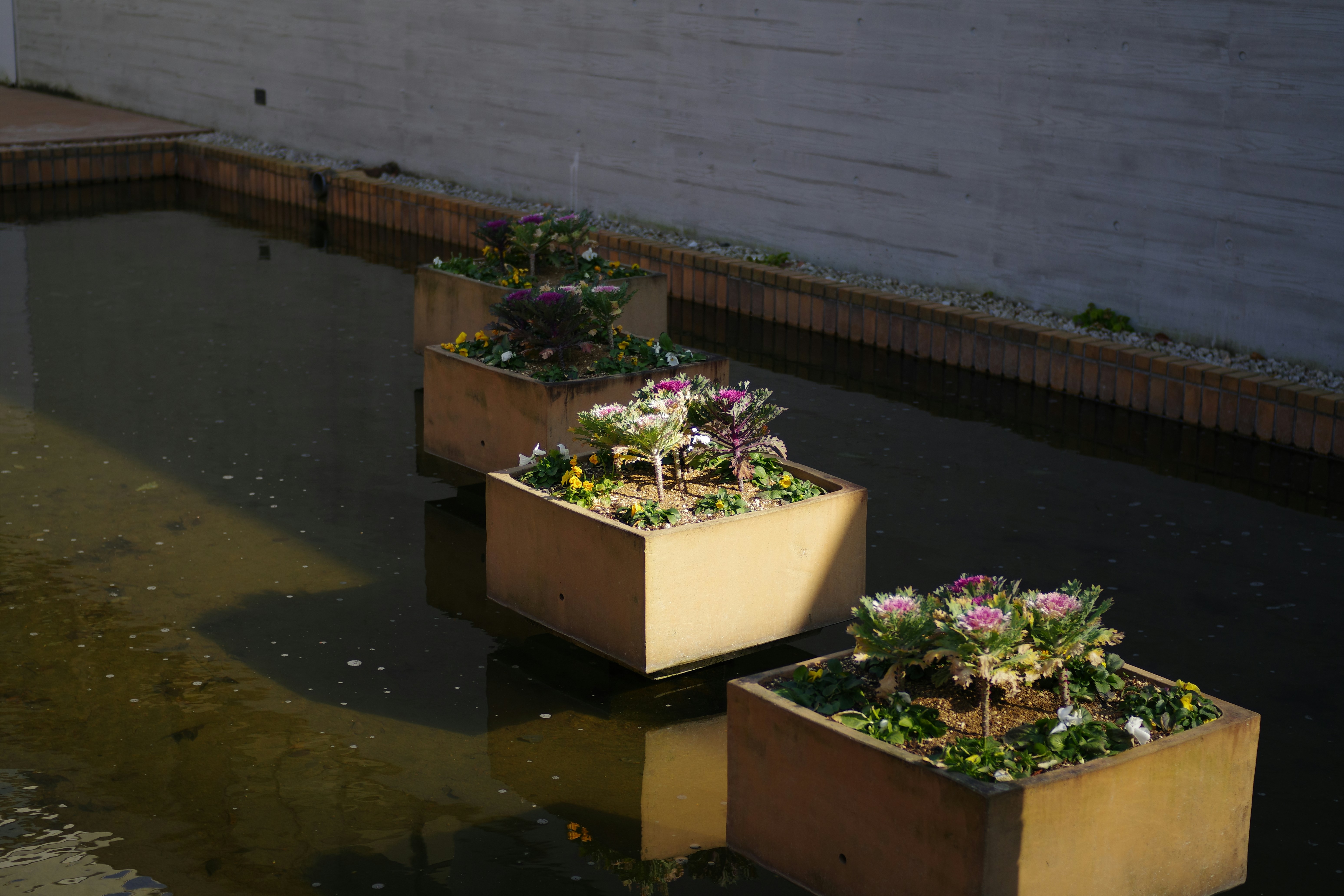 Photo by Naoki Suzuki with Pentax K-3 III