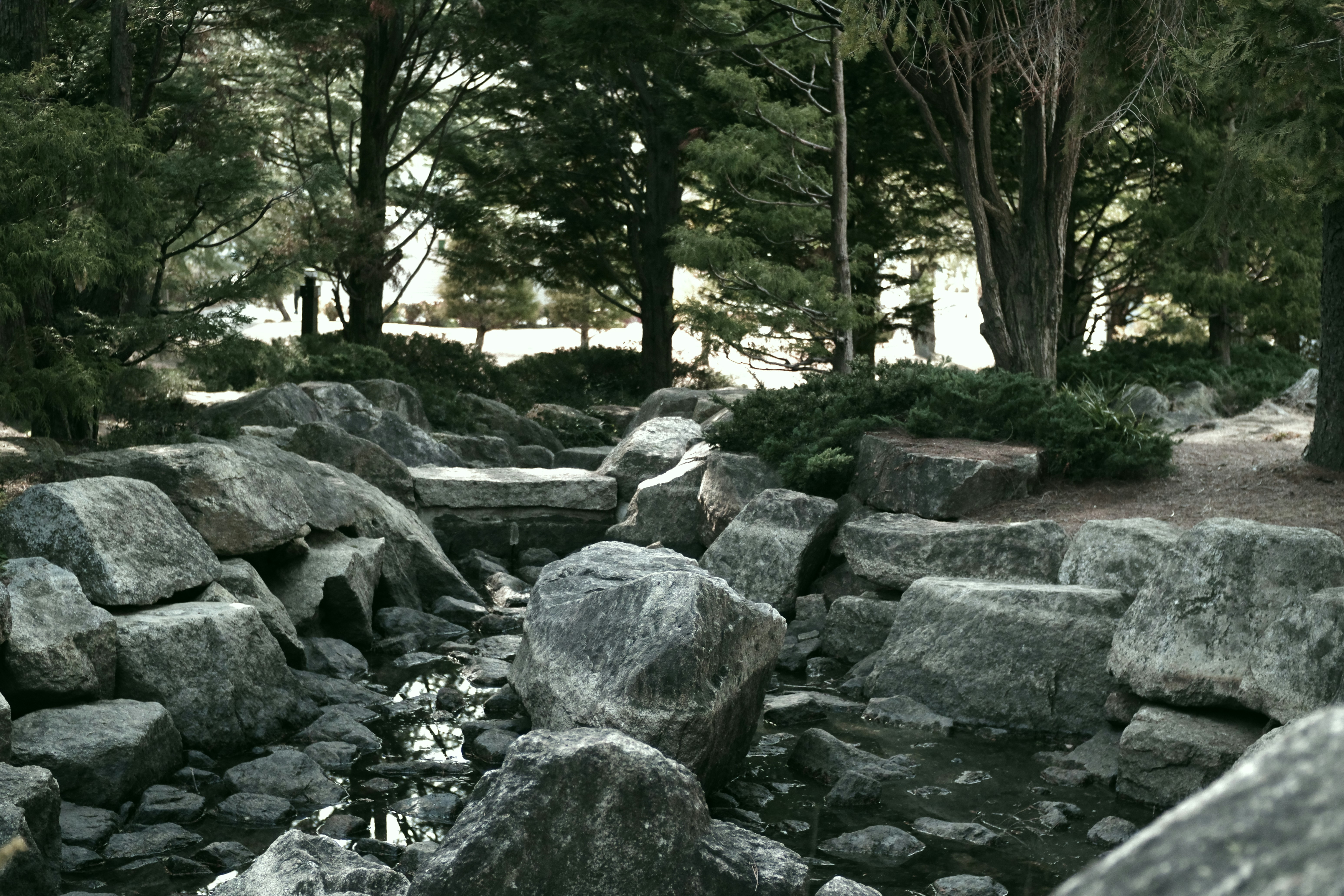 Whispers of Nature: A Tranquil Stream Amidst Stone Guardians