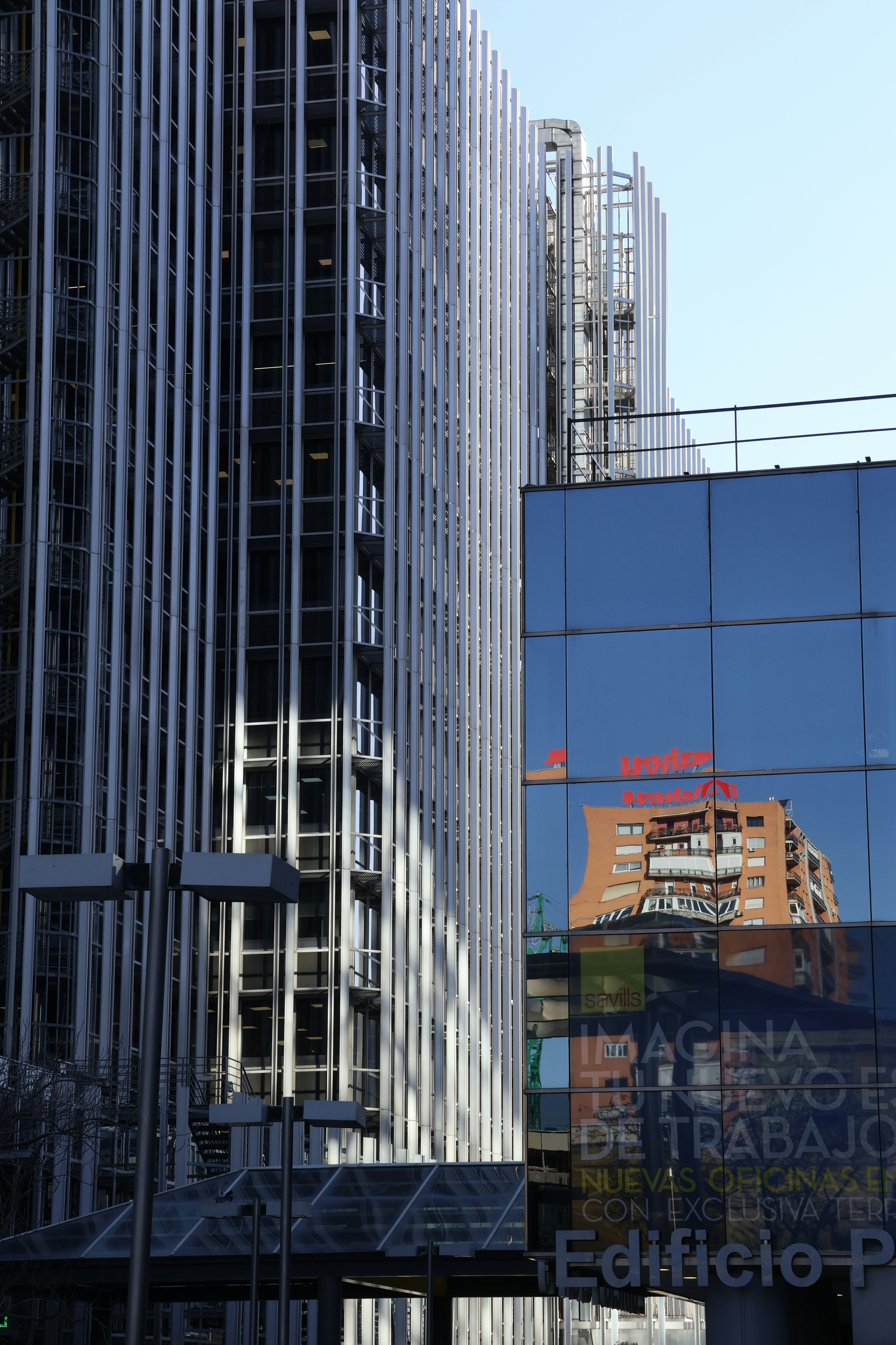 Photo by Yanhao Fang with Canon EOS R10