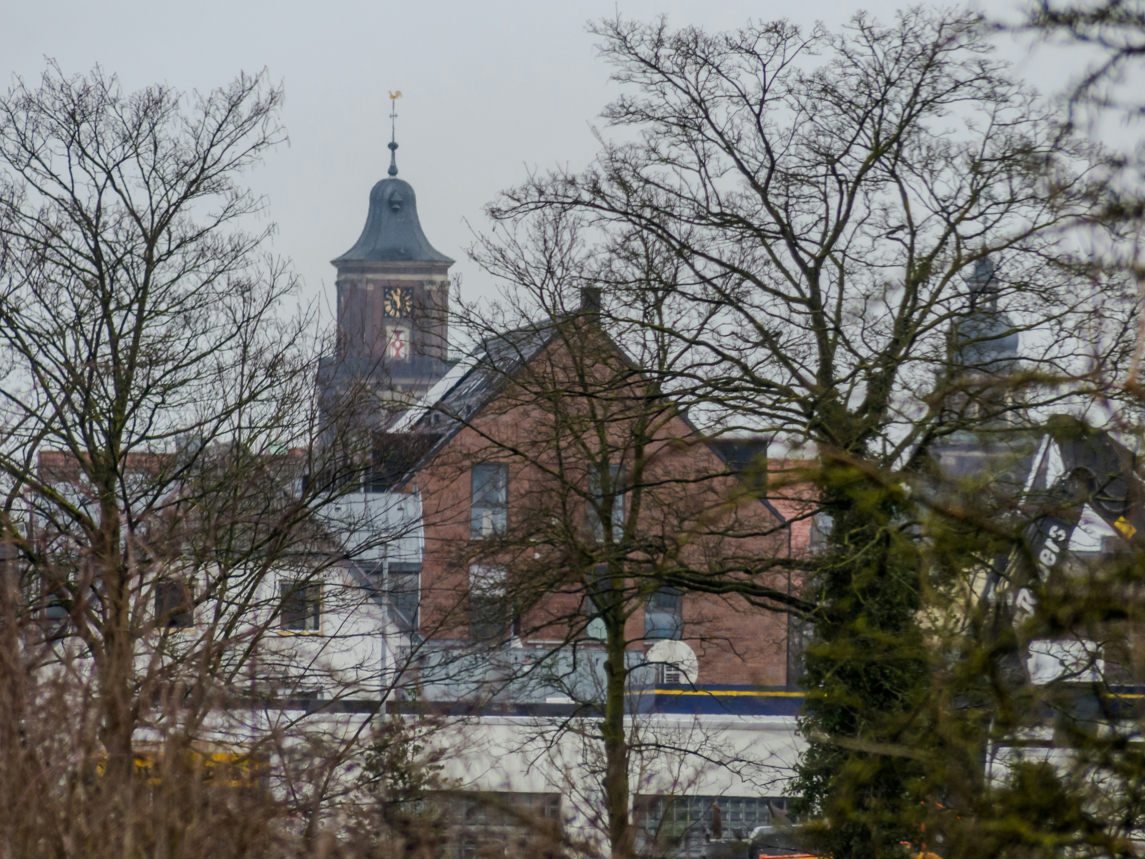 Historic Clock Tower Through Winter Branches