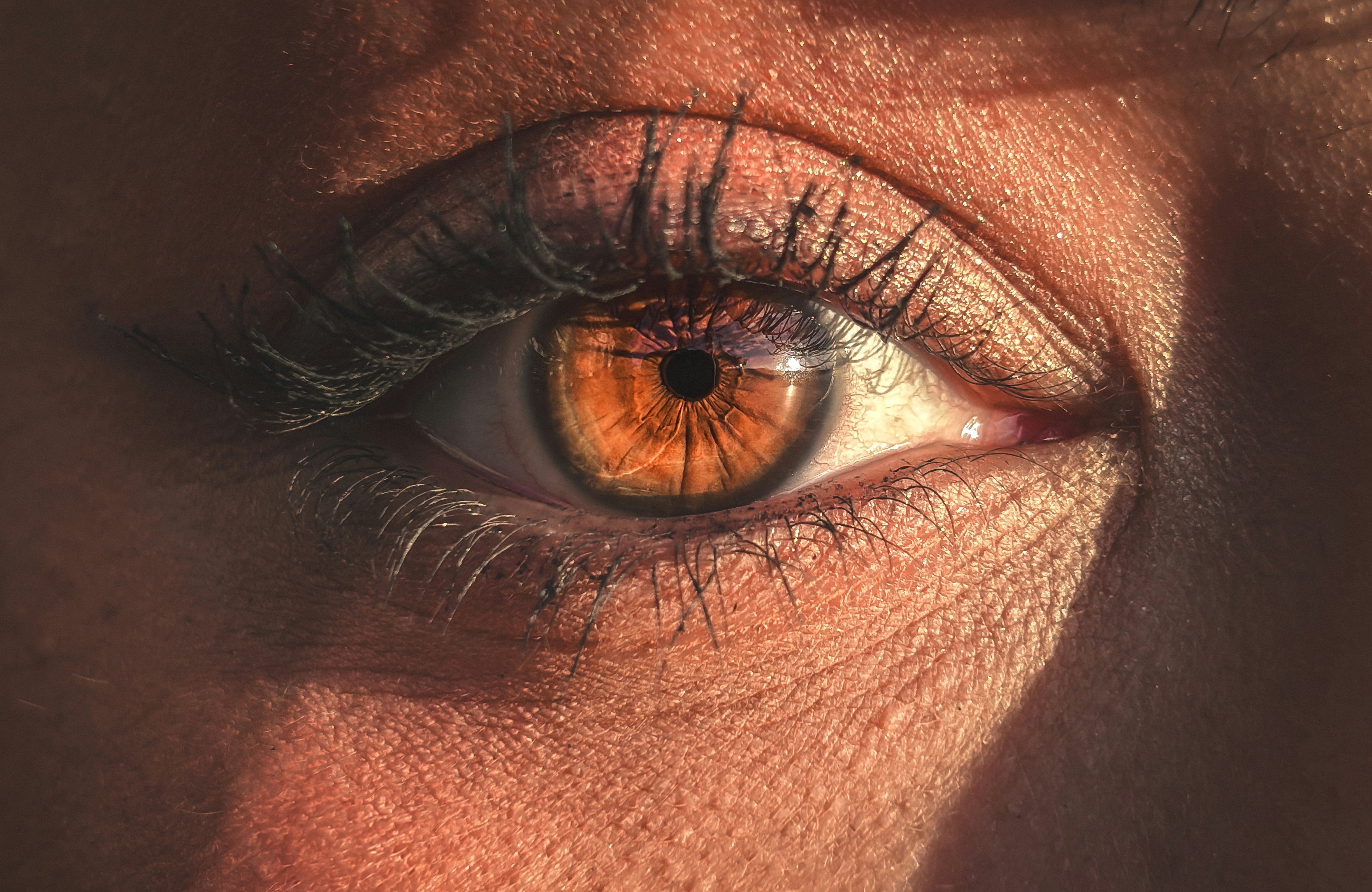 The eyes,chico,They never lie… | Close-up of a beautiful hazel eye in sunlight.