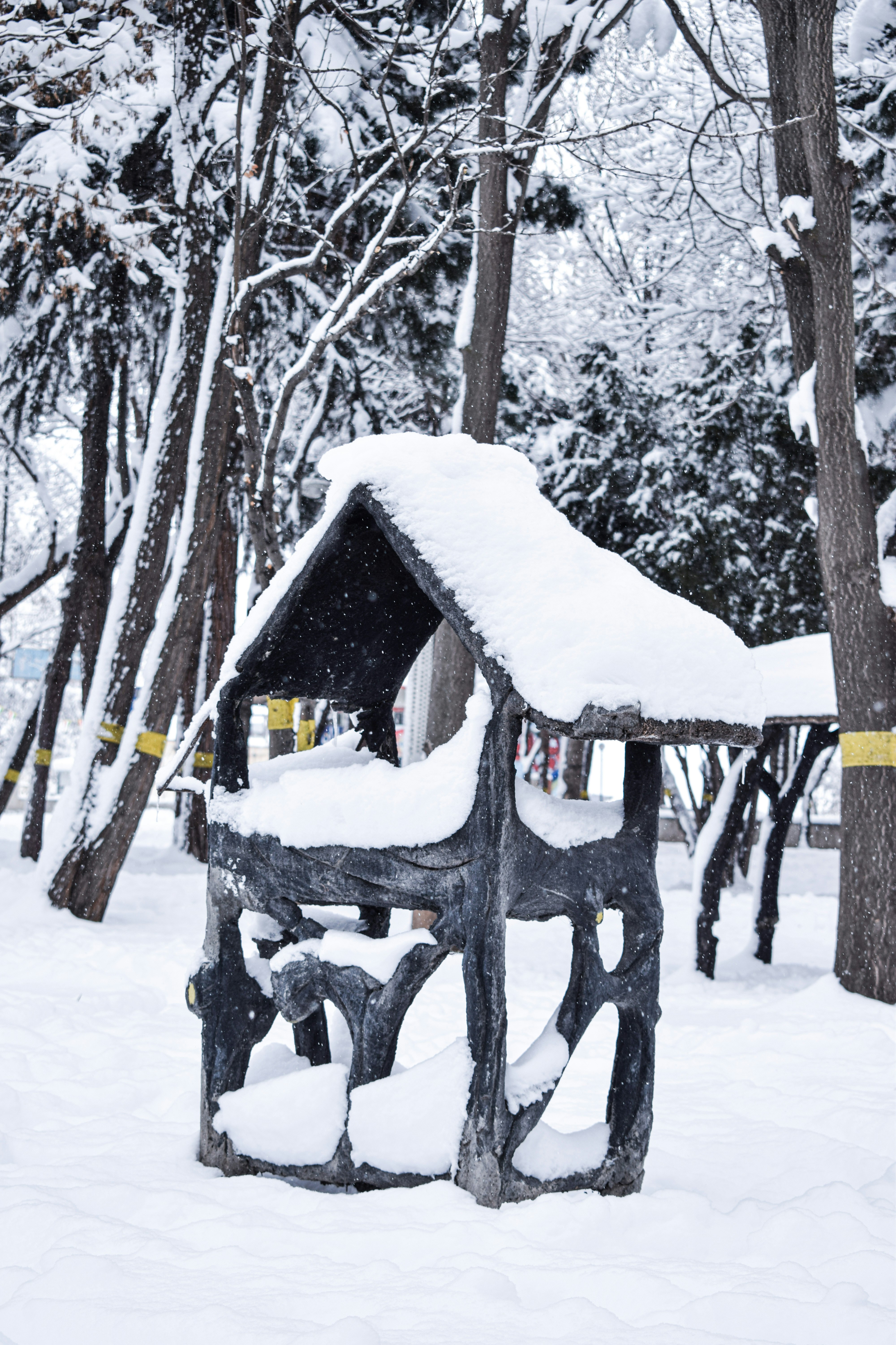 Snowbound Shelter: A Quiet Playground in Frosted Forest