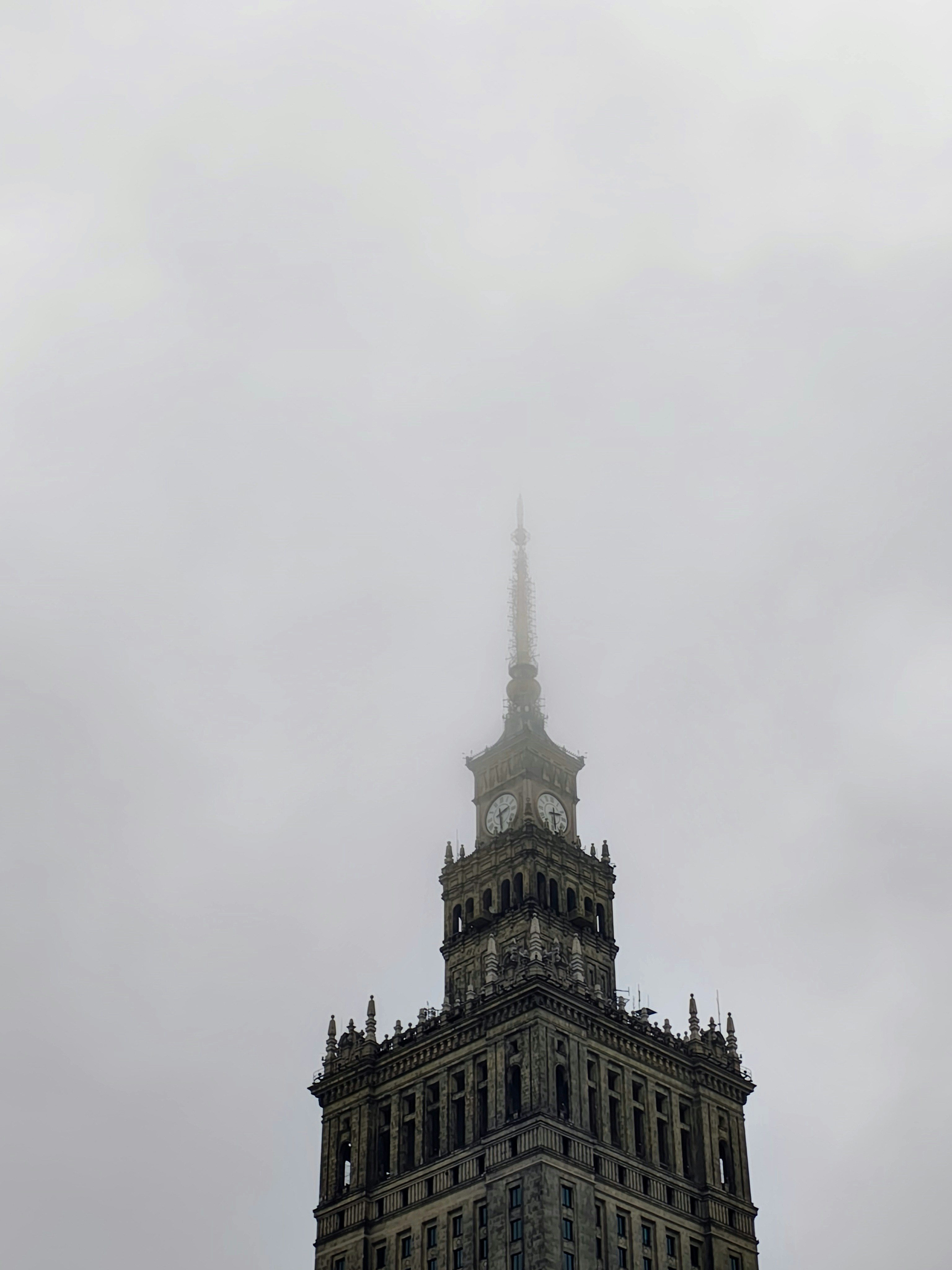 Photo by Magda Kmiecik with Motorola Edge 50 Pro