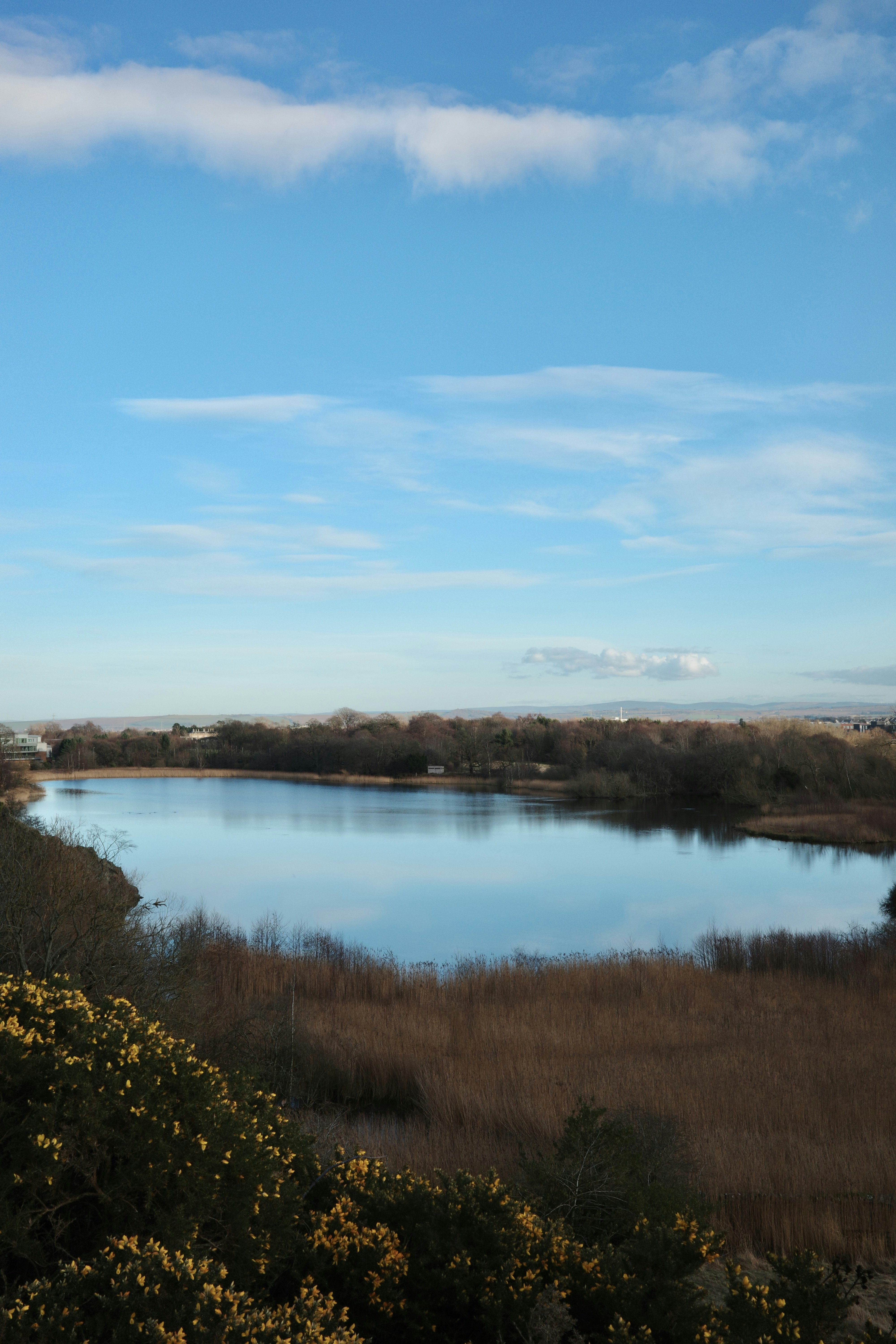 Photo by Hugo Xie with Ricoh GR IIIx