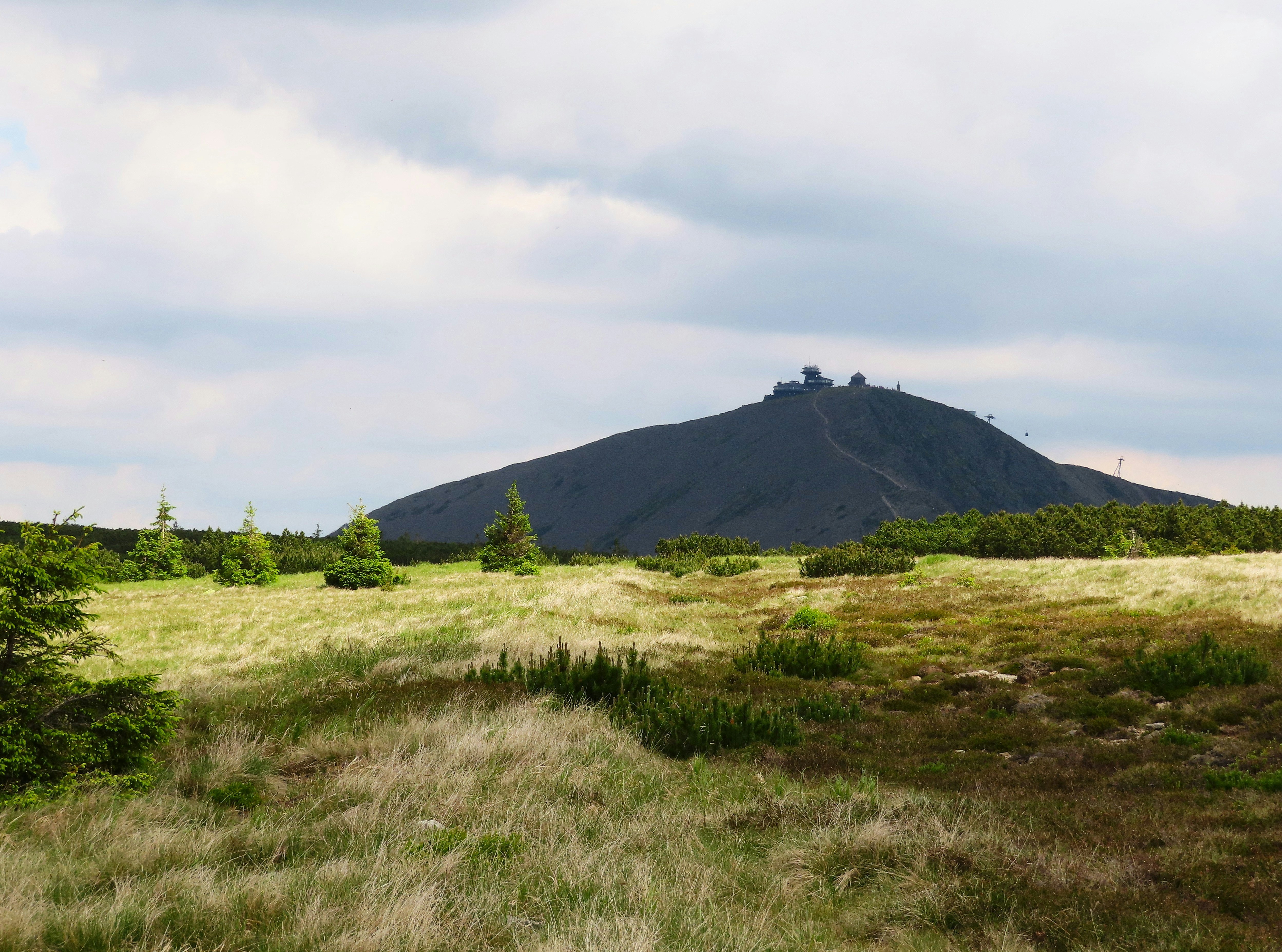Sněžka Mountain under a cloudy sky with sunlit alpine meadows and scattered spruce trees.
