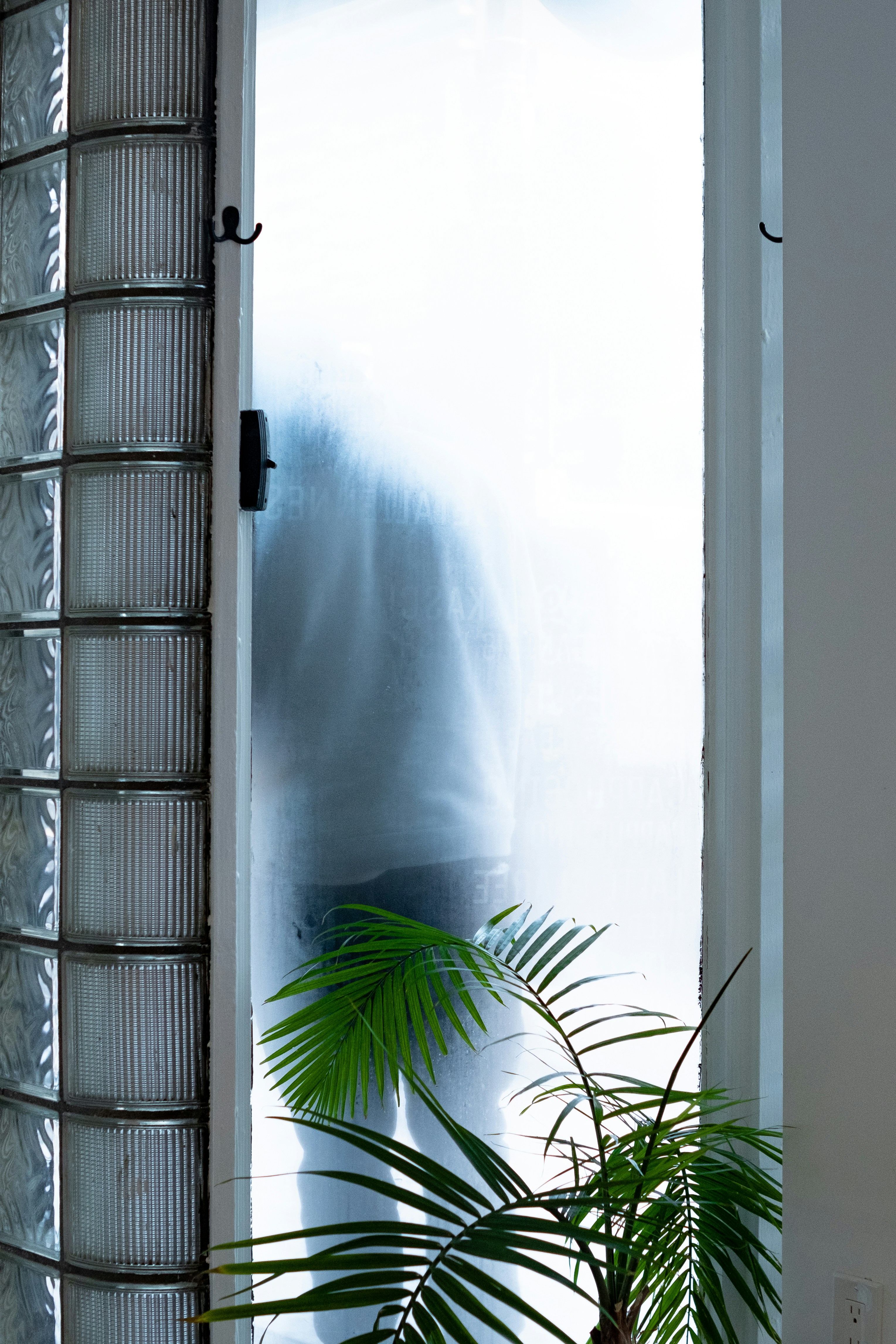 Silhouette Beyond the Frosted Pane