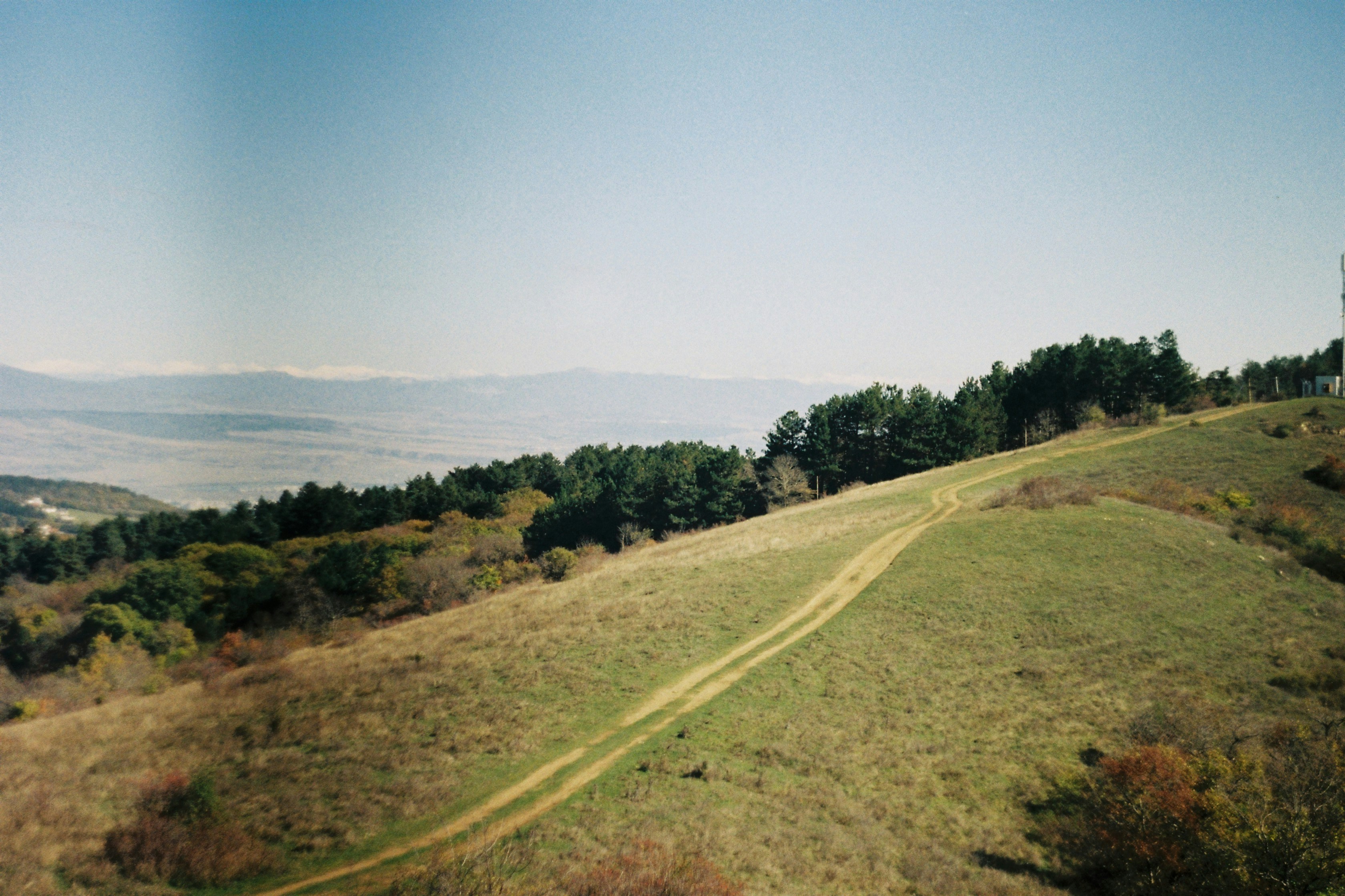 Grassy trail winding through a hilly landscape with dense trees under a clear blue sky.