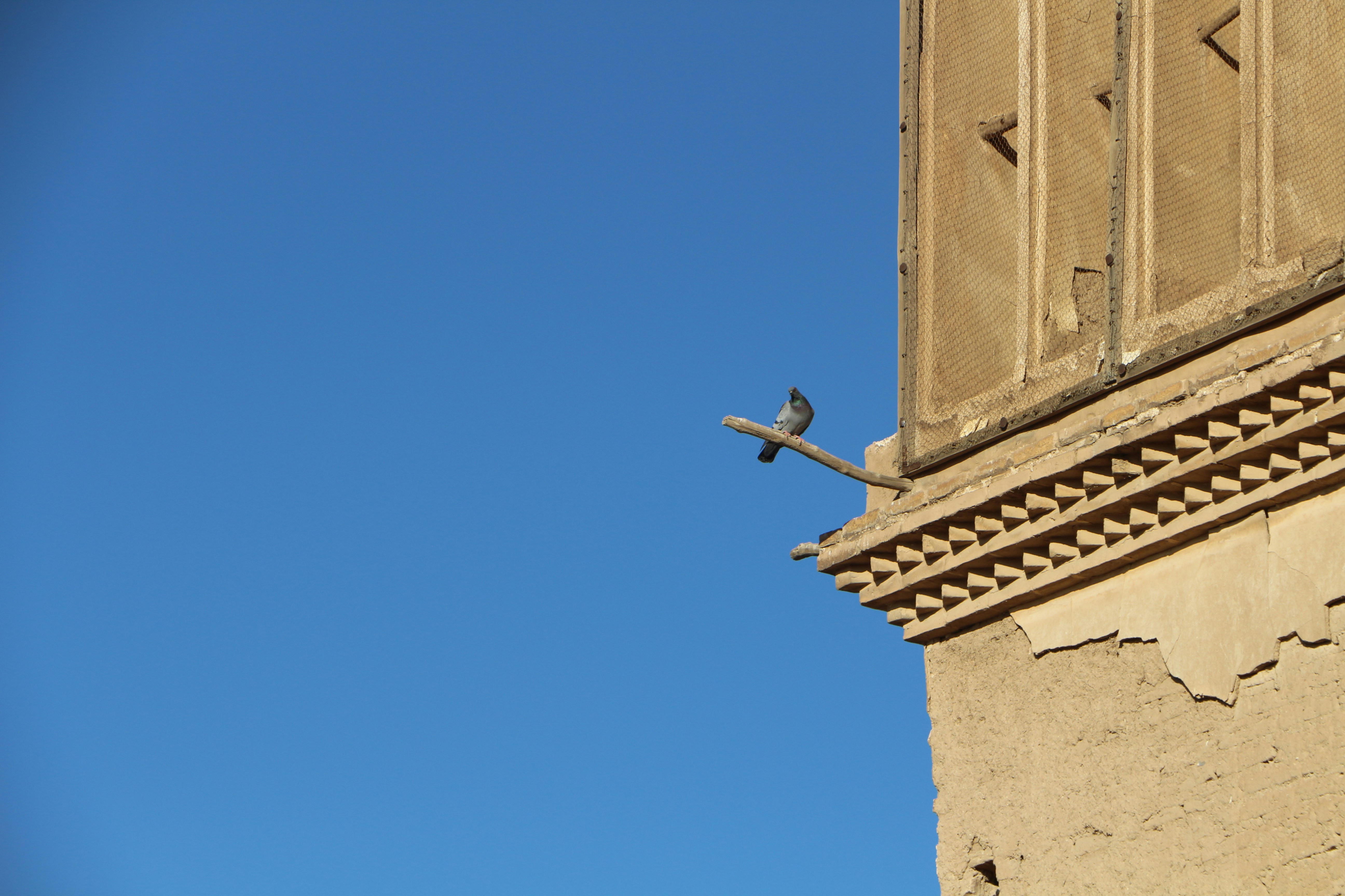 Pigeon resting on a wooden beam extending from an ornate architectural structure under a clear blue sky.