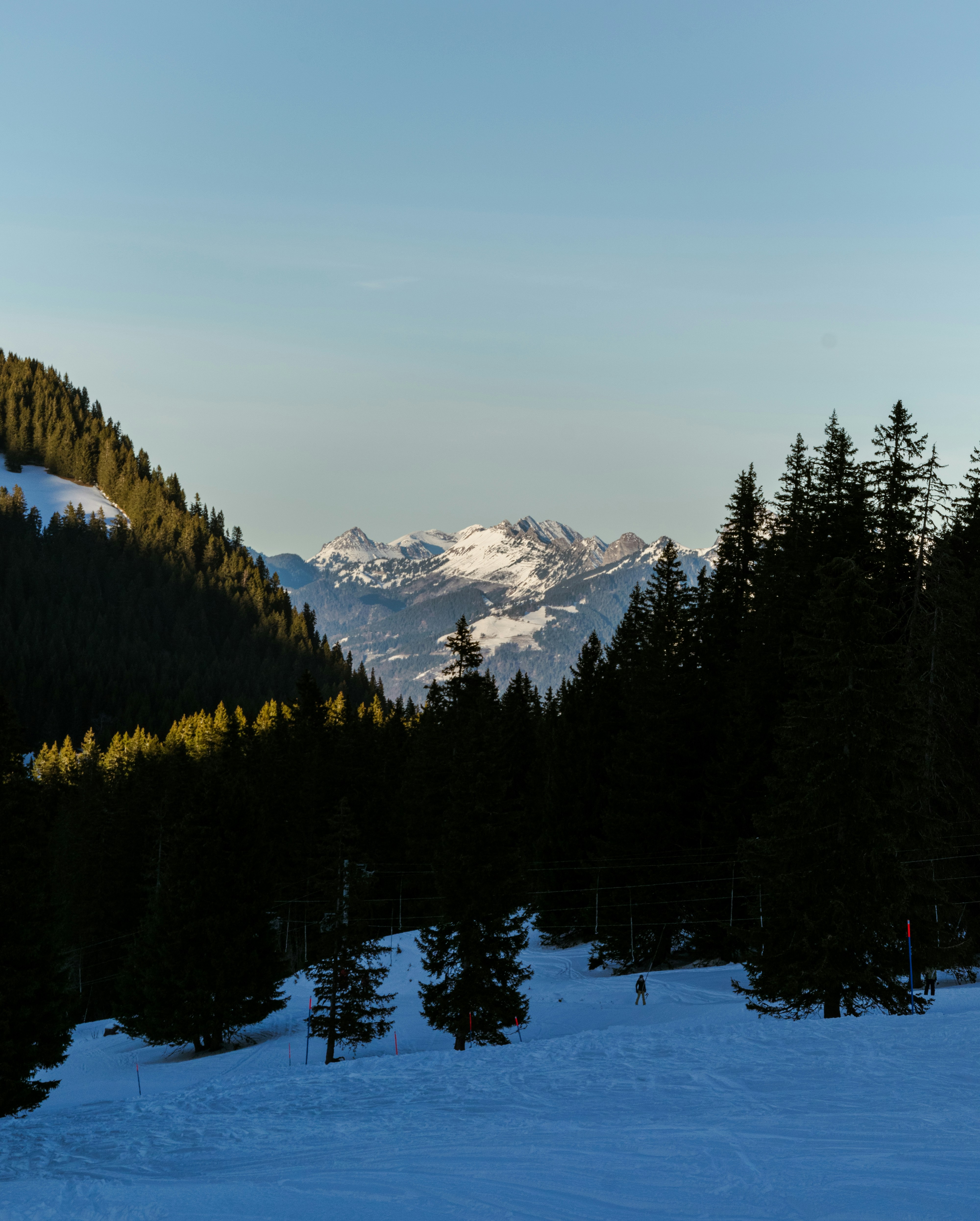 Dawn Crest: Snow-Capped Peaks Framed by Silent Pines