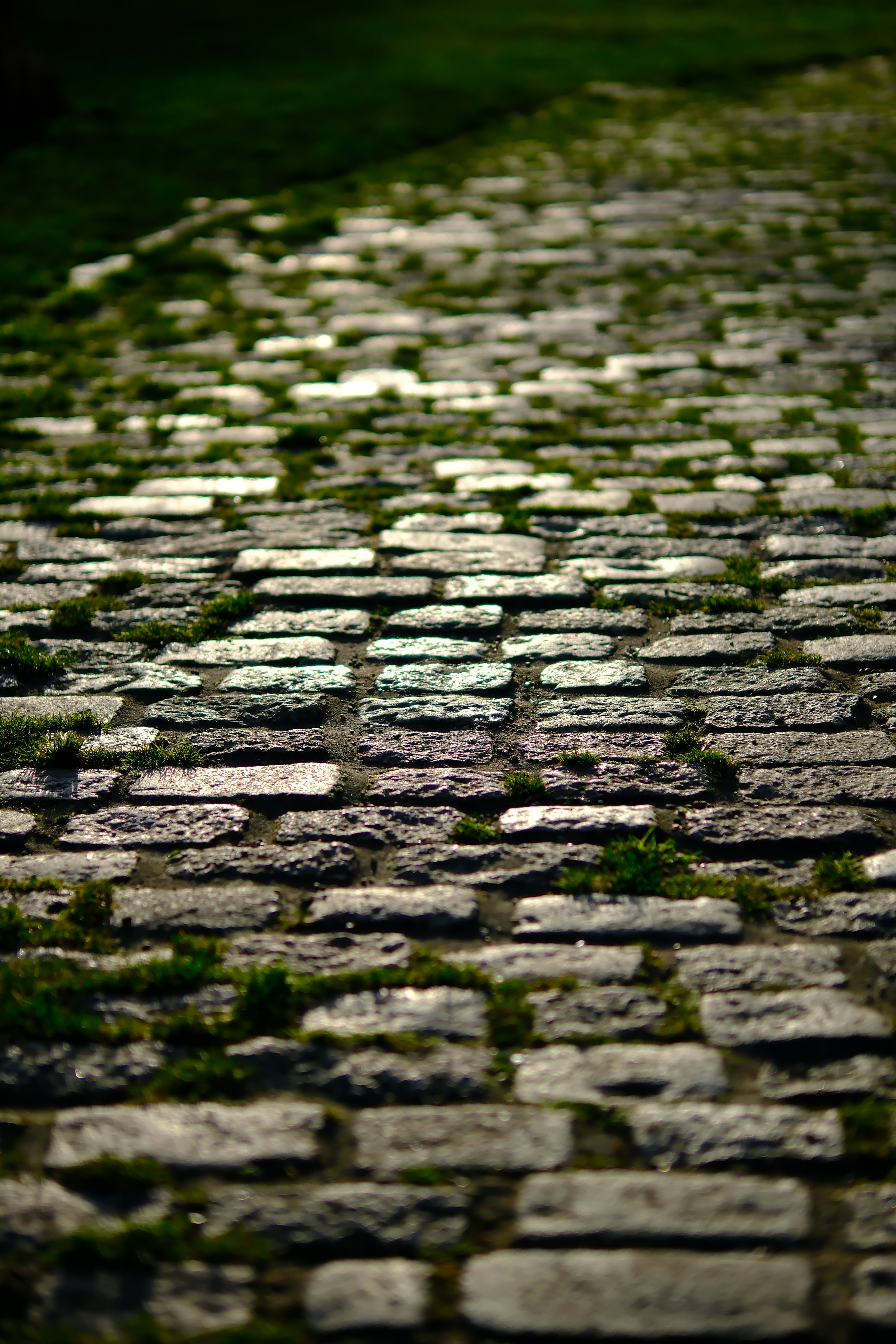 Zizhou Shi (@shizizhou) | Unsplashフォトコミュニティ