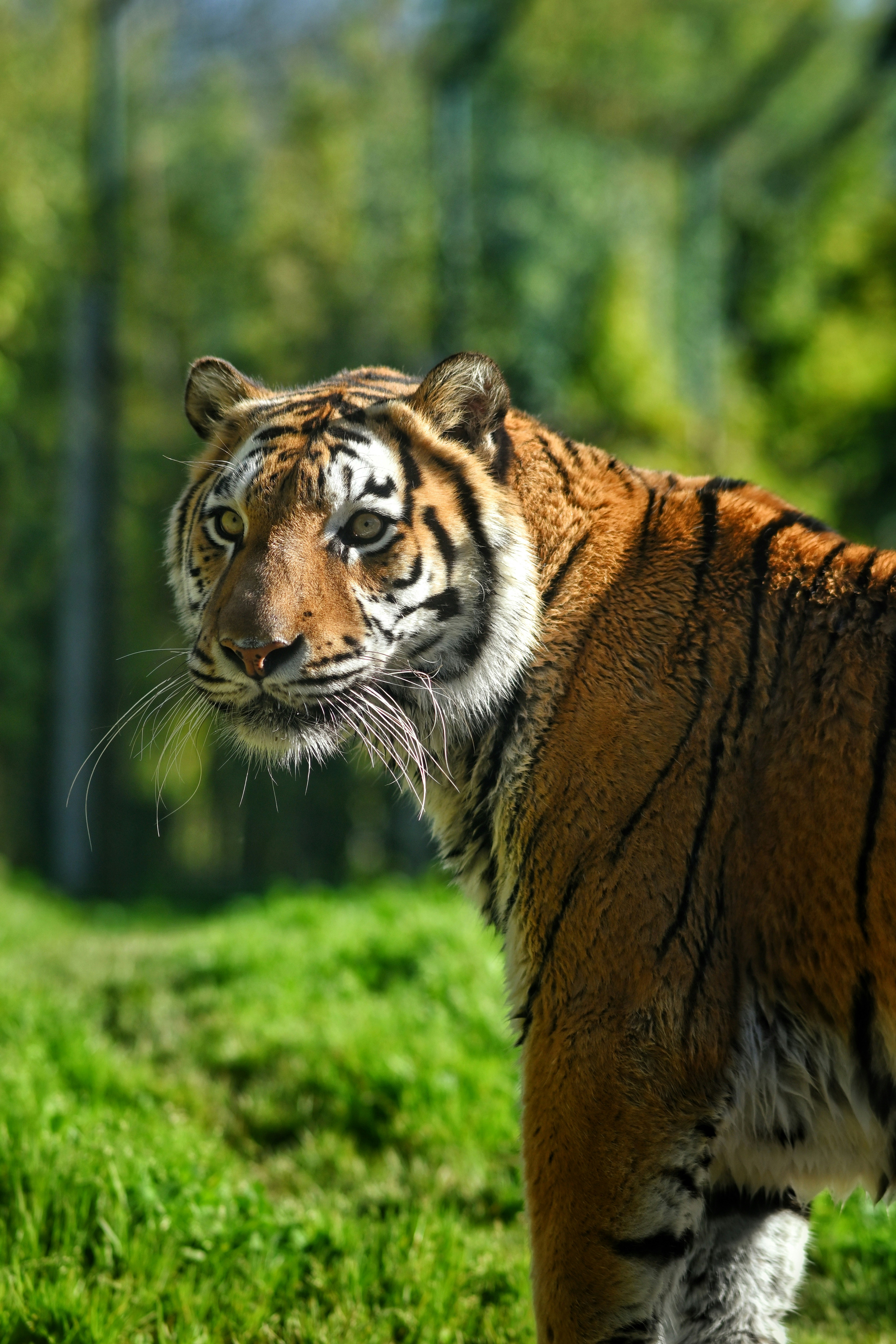 Photo by Diogo Lemos with Nikon Z30